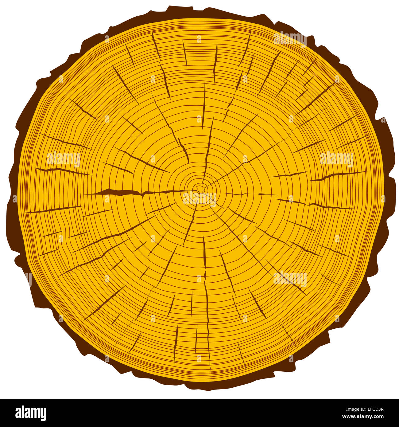 Tree rings saw cut tree trunk background Stock Photo - Alamy