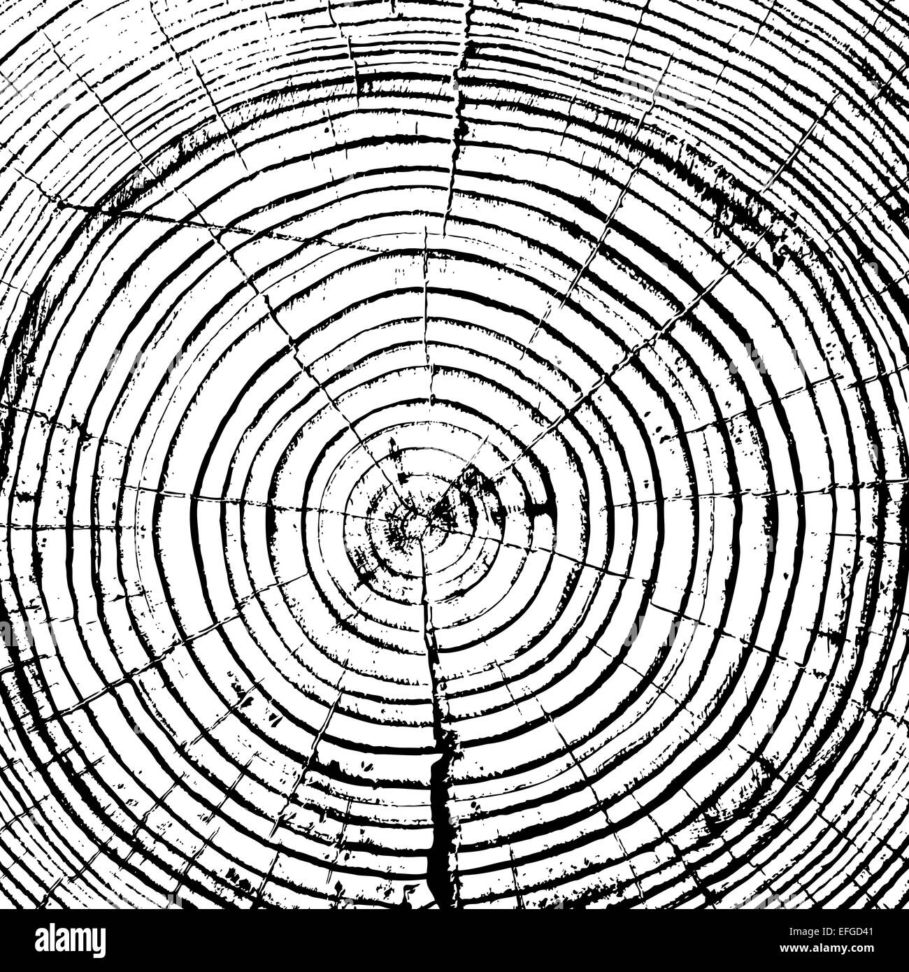 Growth rings oak tree Black and White Stock Photos & Images - Alamy