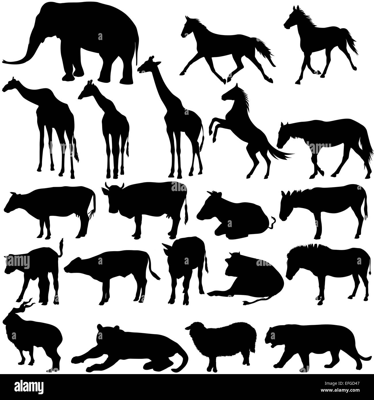Set silhouettes animals in zoo collection on a white background Stock ...