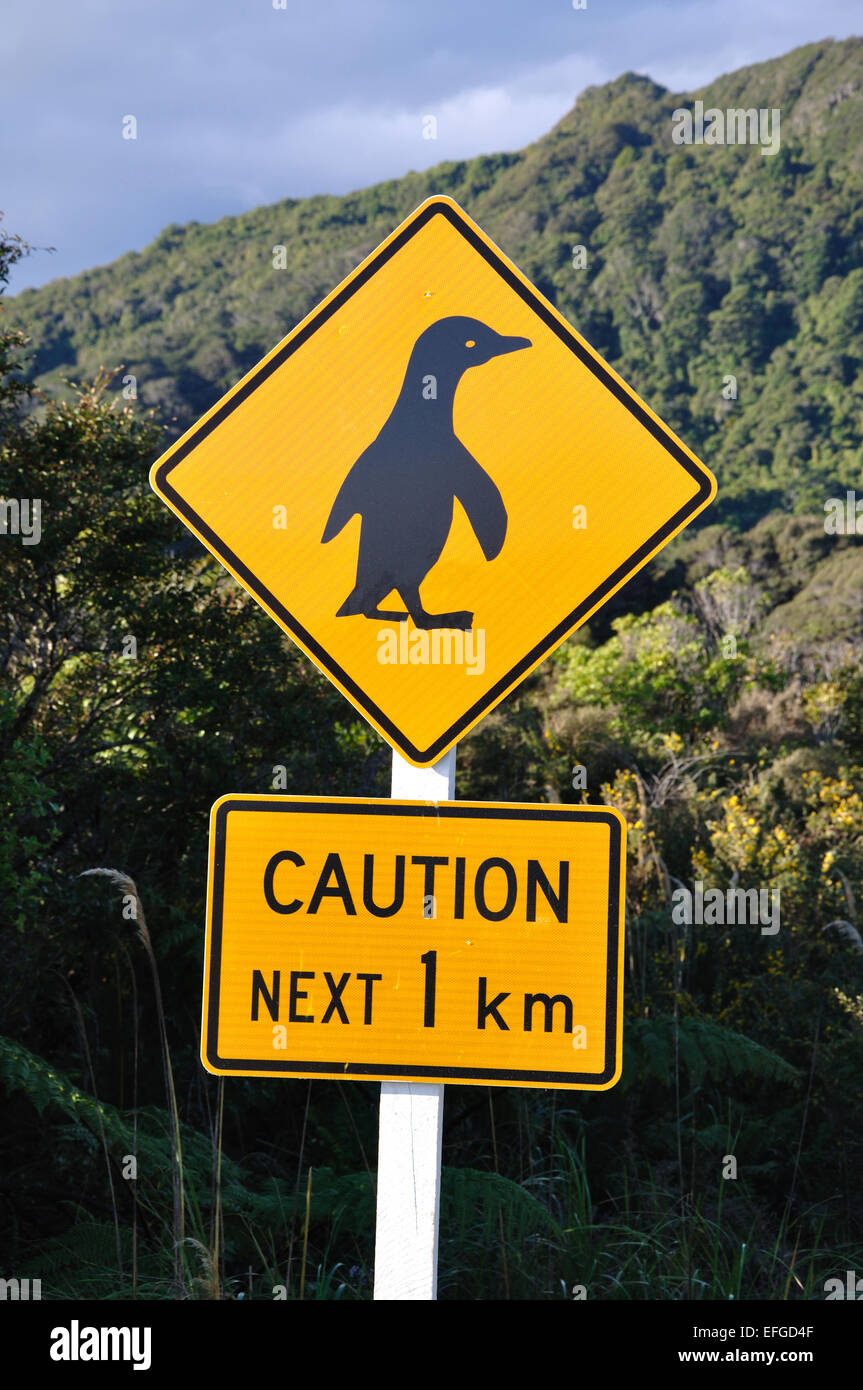Road sign warning about penguins on the coast road, Westland, South ...