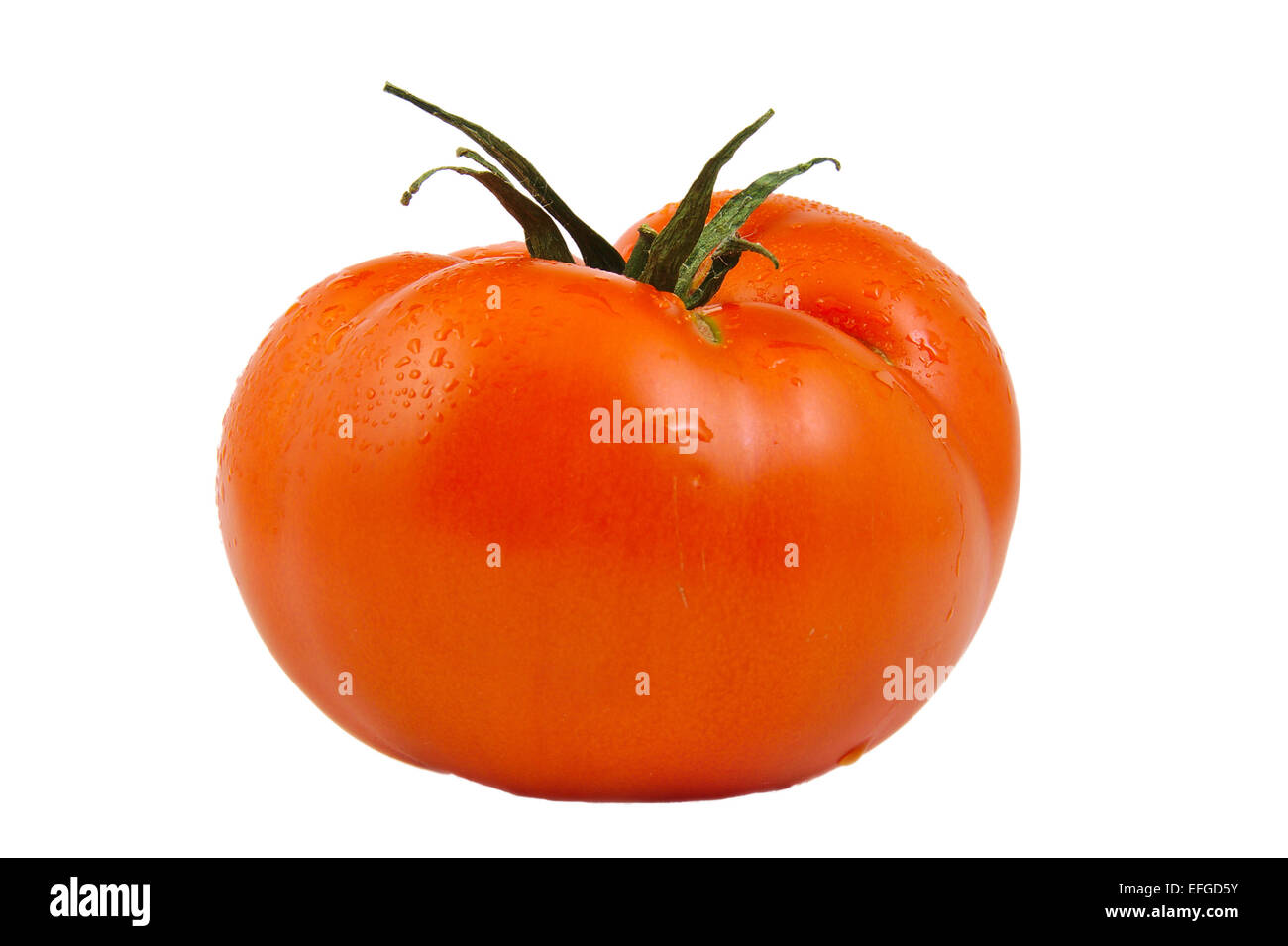 Front view of tomato isolated on white background Stock Photo - Alamy