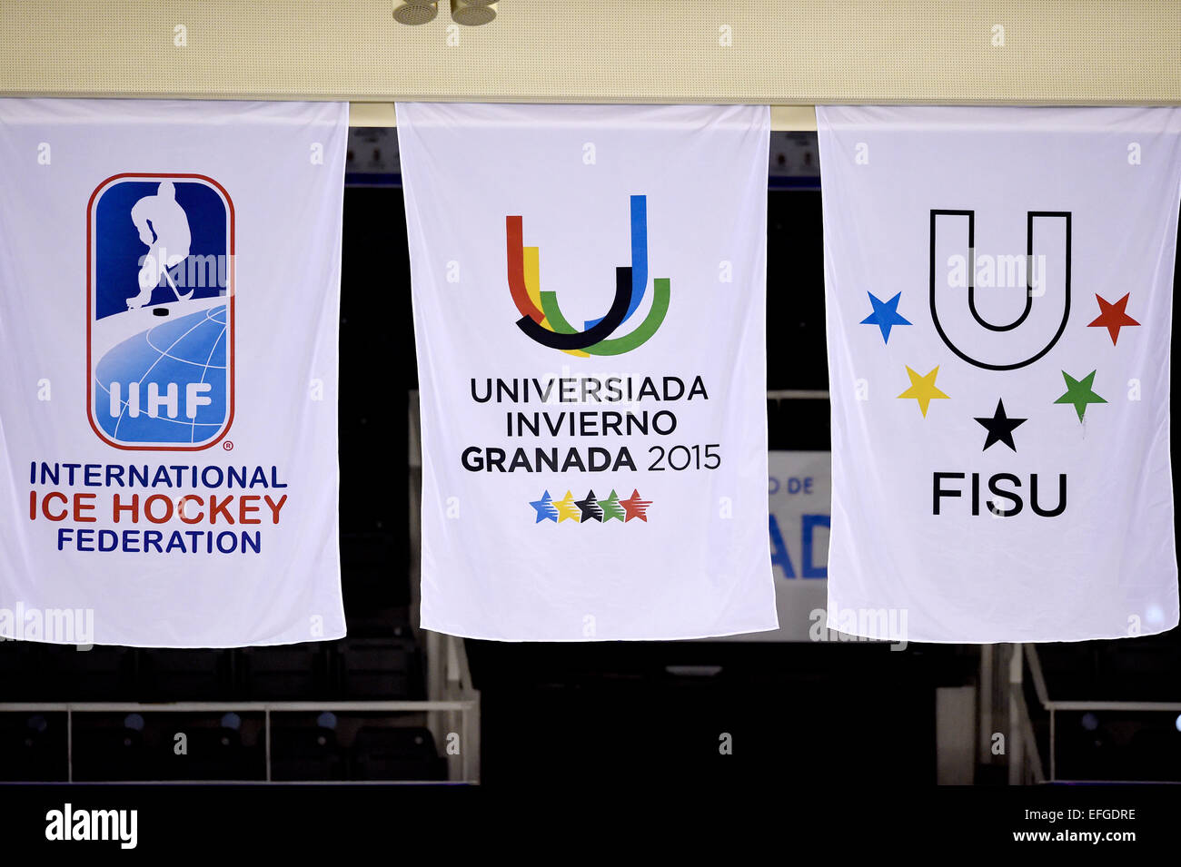 Granada Sport Palace, Granada, Spain. 3rd Feb, 2015. Flags/General view ...