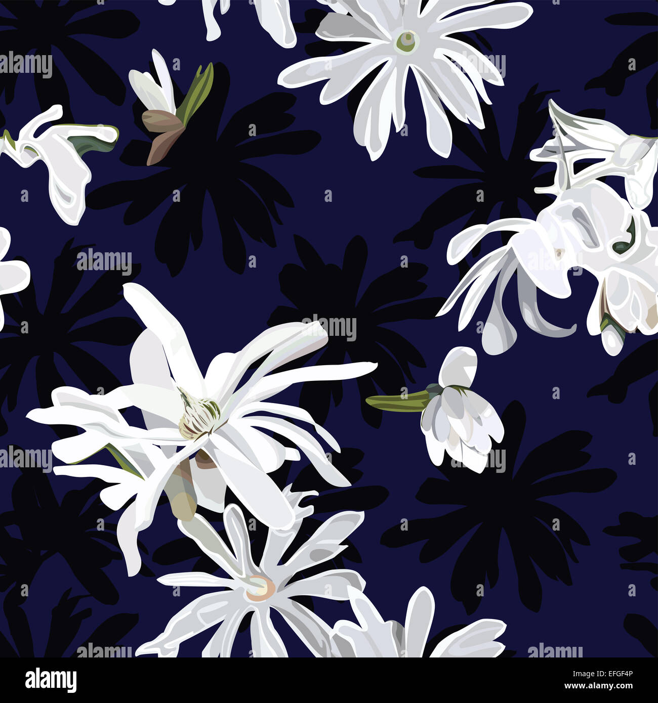 Seamless magnolia pattern hi-res stock photography and images - Alamy