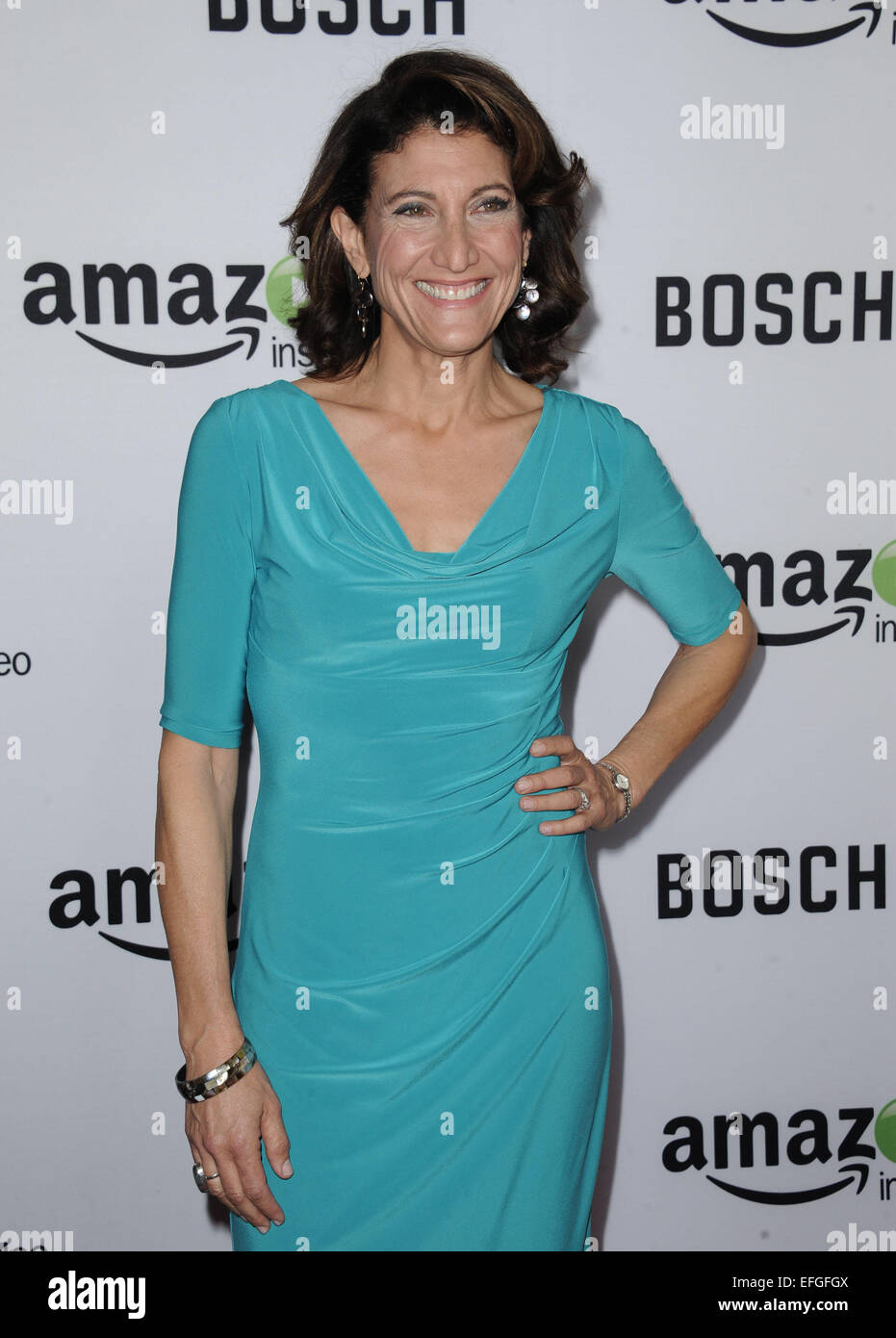 Los Angeles, California, USA. 3rd Feb, 2015. Amy Aquino attending the ...