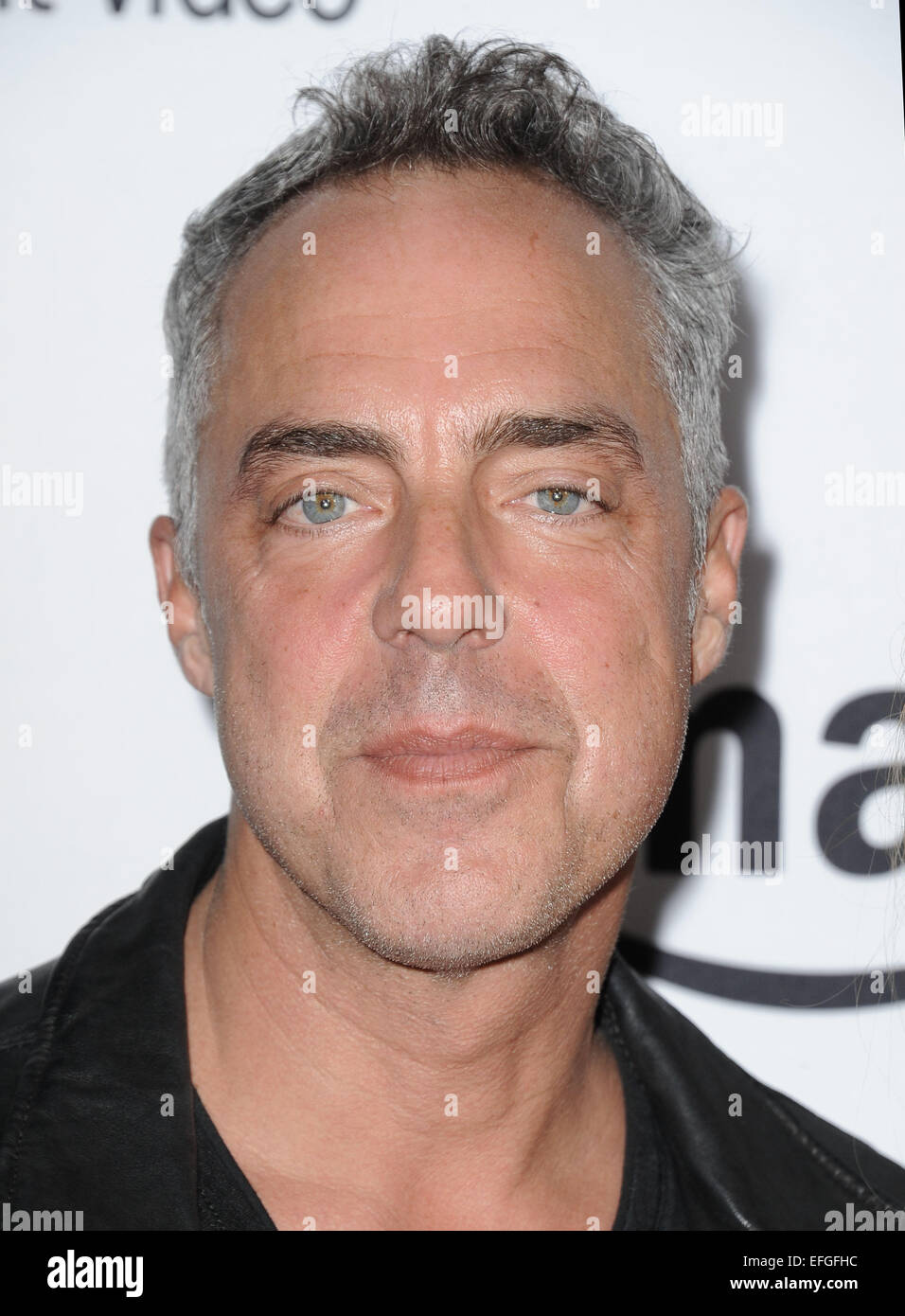 Los Angeles, California, USA. 3rd Feb, 2015. Titus Welliver attending ...