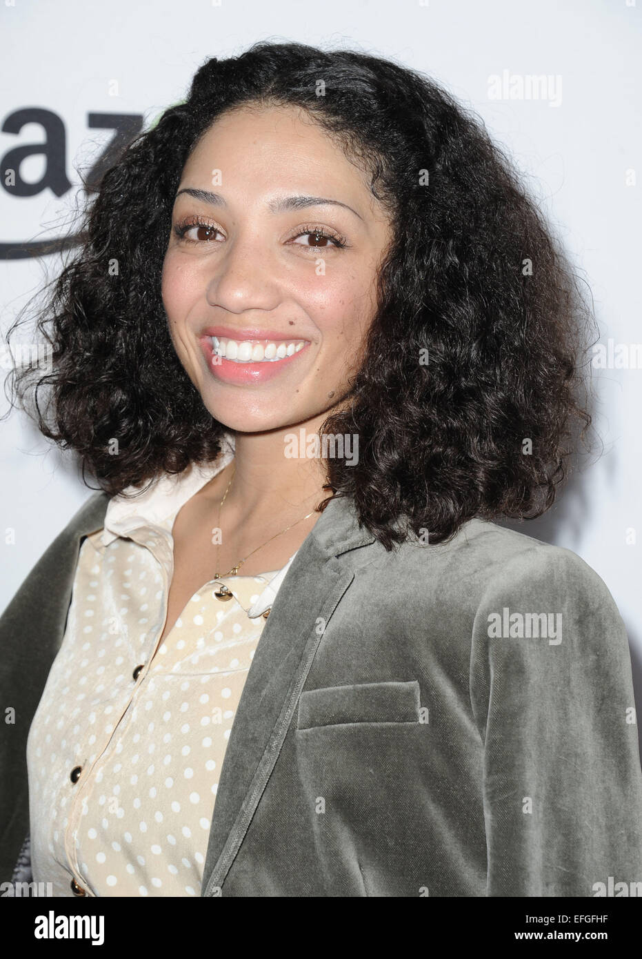 Los Angeles, California, USA. 3rd Feb, 2015. Jasika Nicole attending ...