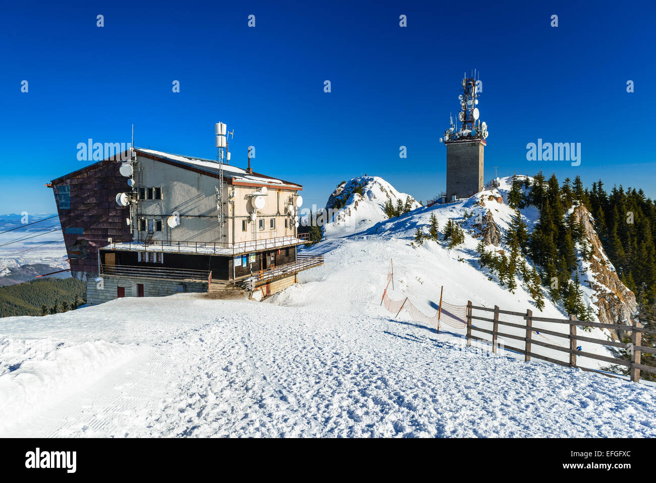 Top of Postavaru Mountain (1799 m) in Transylvania highest mountain ...