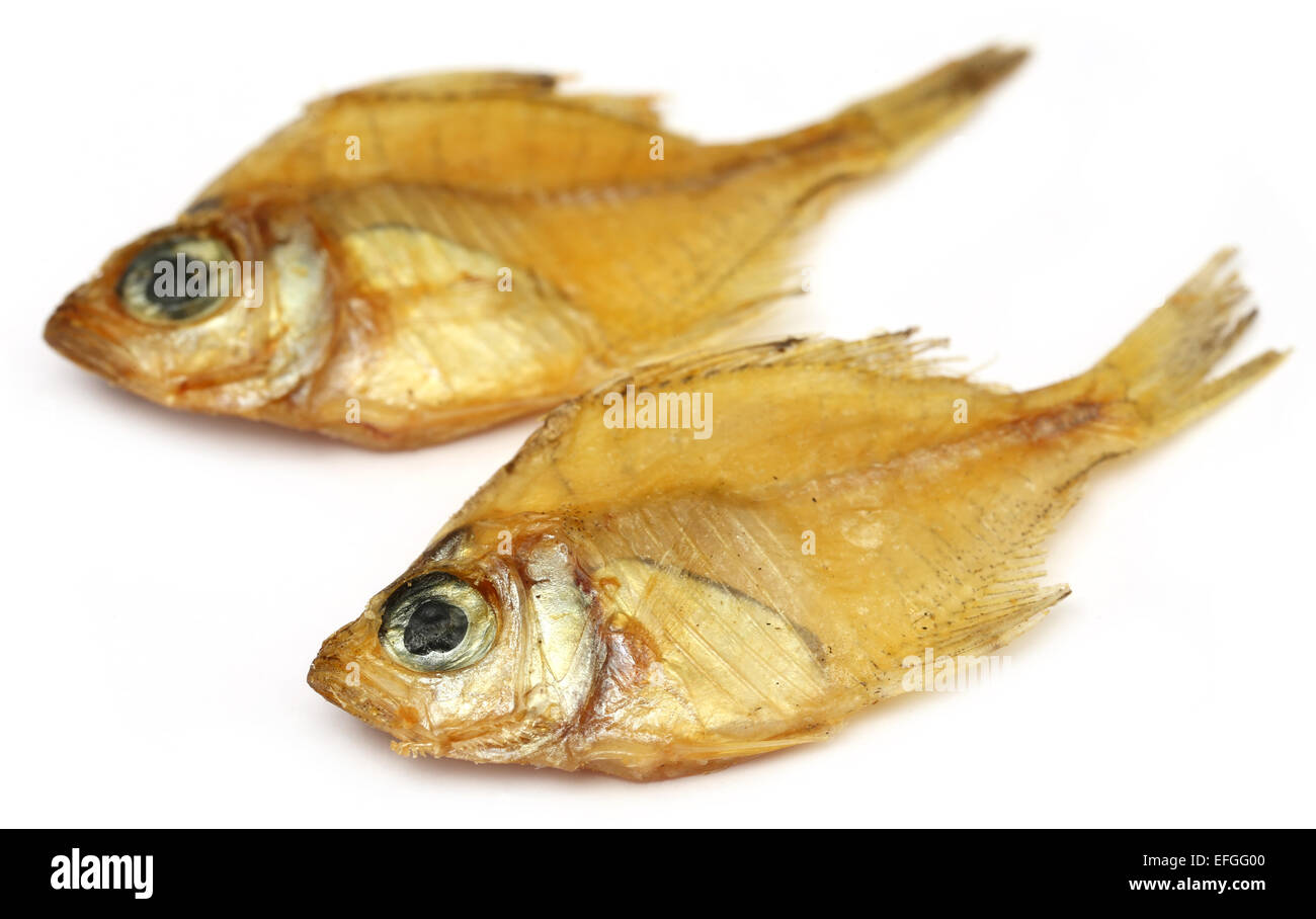 Dried Elongate glassy perchlet over white background Stock Photo - Alamy