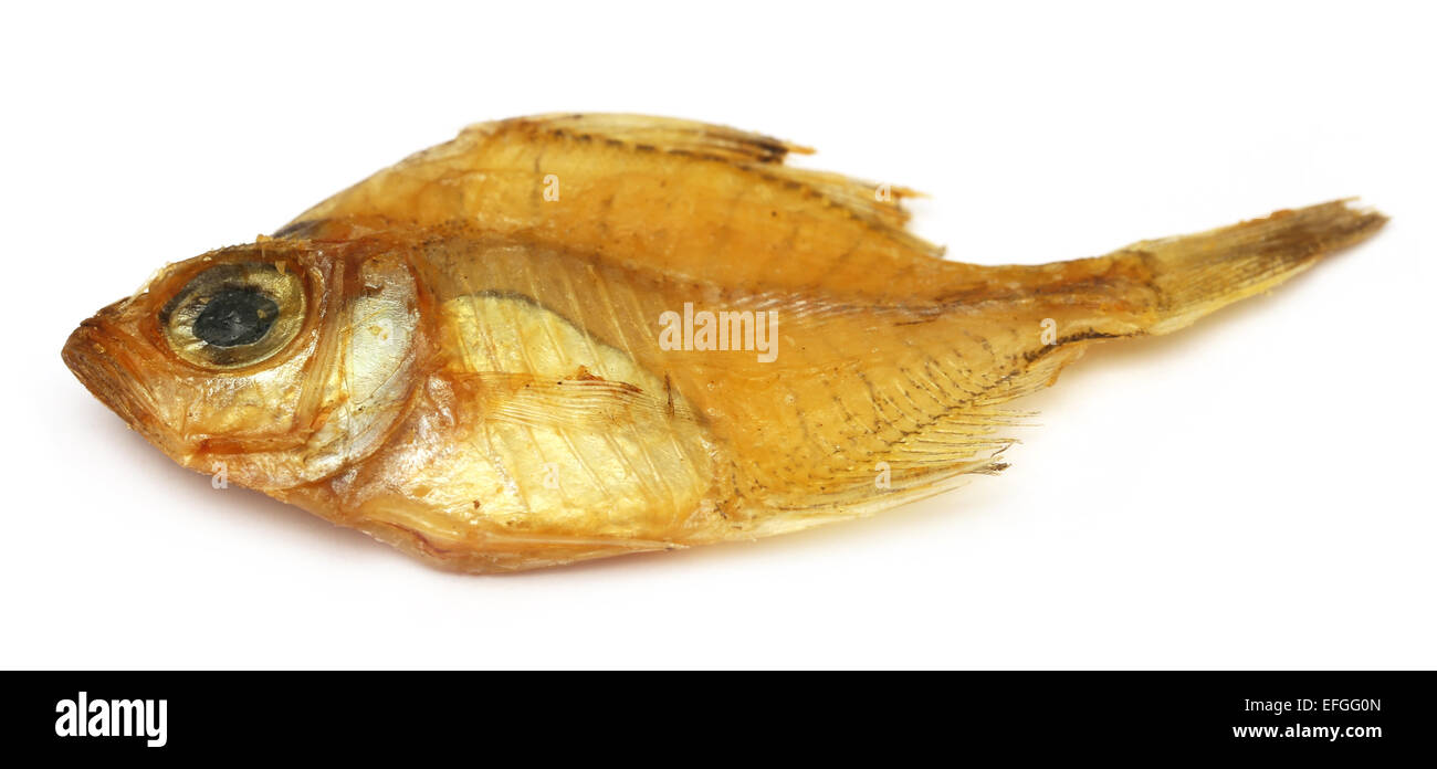 Chanda chanda nama elongate glassy perchlet glass fish Cut Out Stock ...