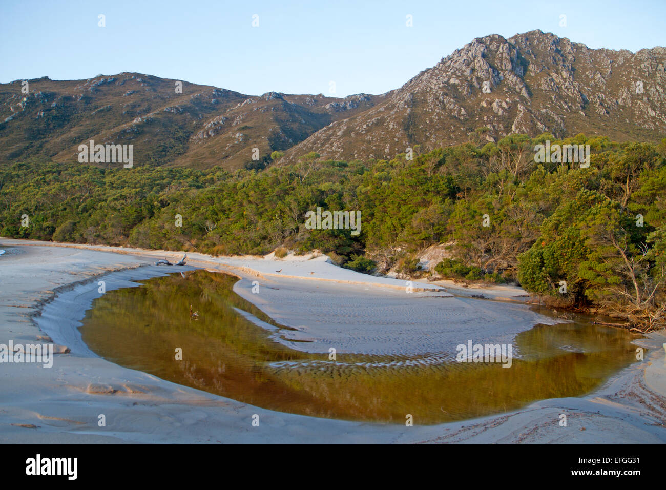 Bramble Cove, on the shores of the Bathurst Narrows in Tasmania's ...