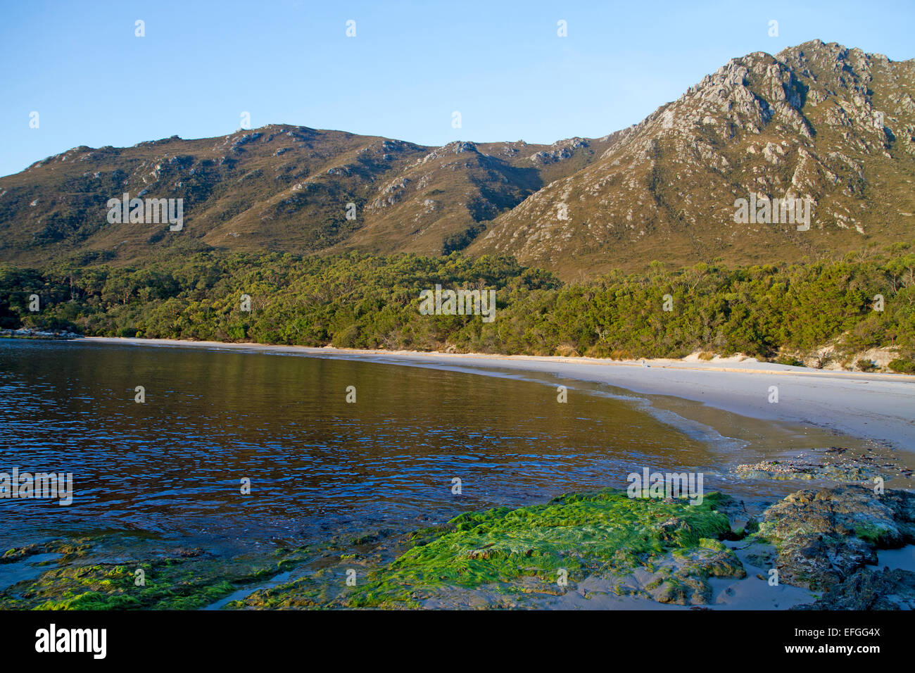 Bramble Cove, on the shores of the Bathurst Narrows in Tasmania's ...