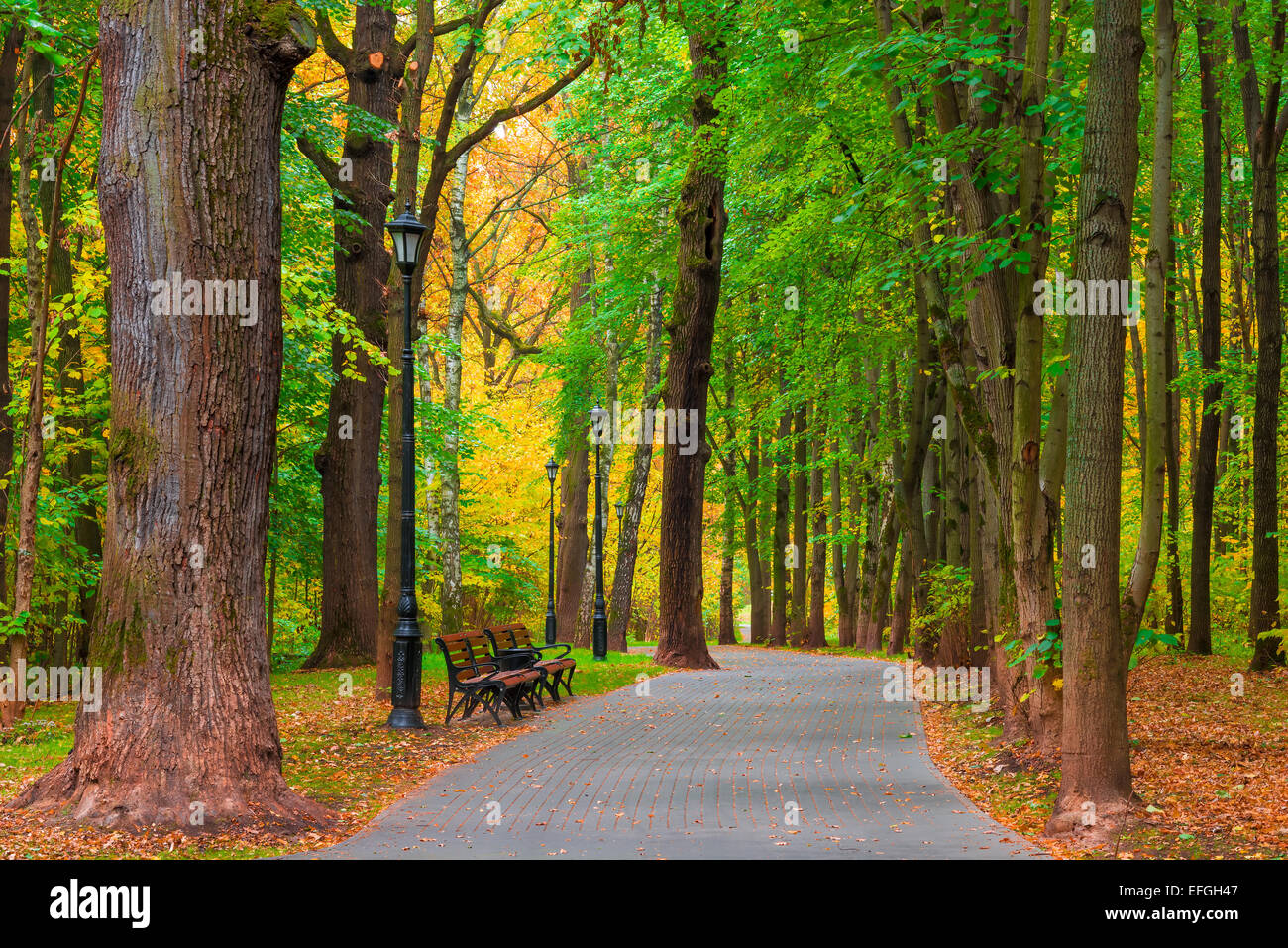 Road benches hi-res stock photography and images - Alamy