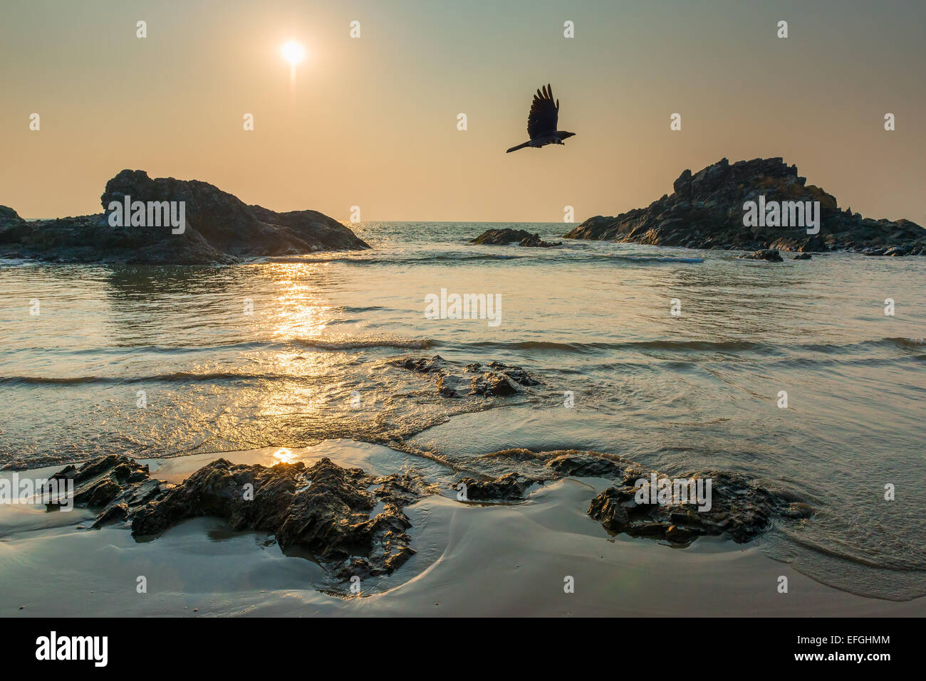 Flying crow hi-res stock photography and images - Alamy