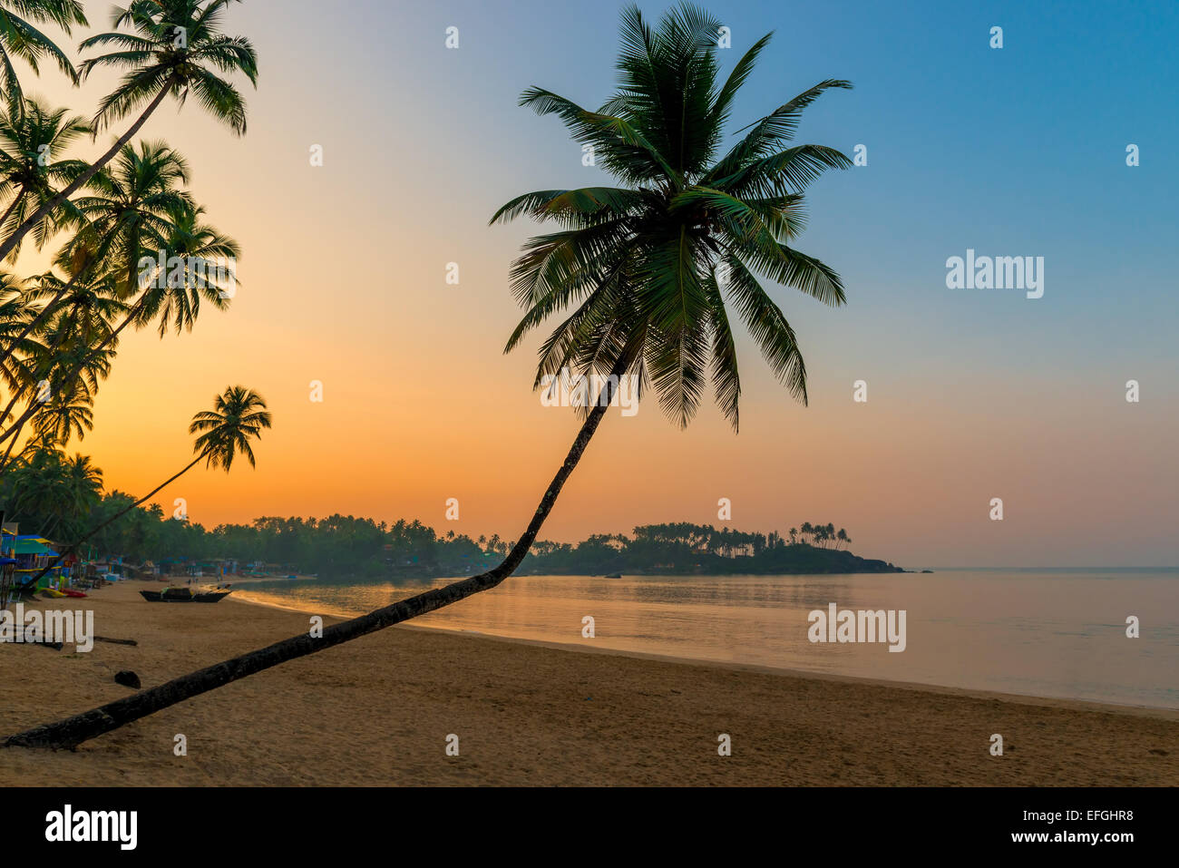 beautiful picture in the pre-dawn time in the tropics Stock Photo - Alamy