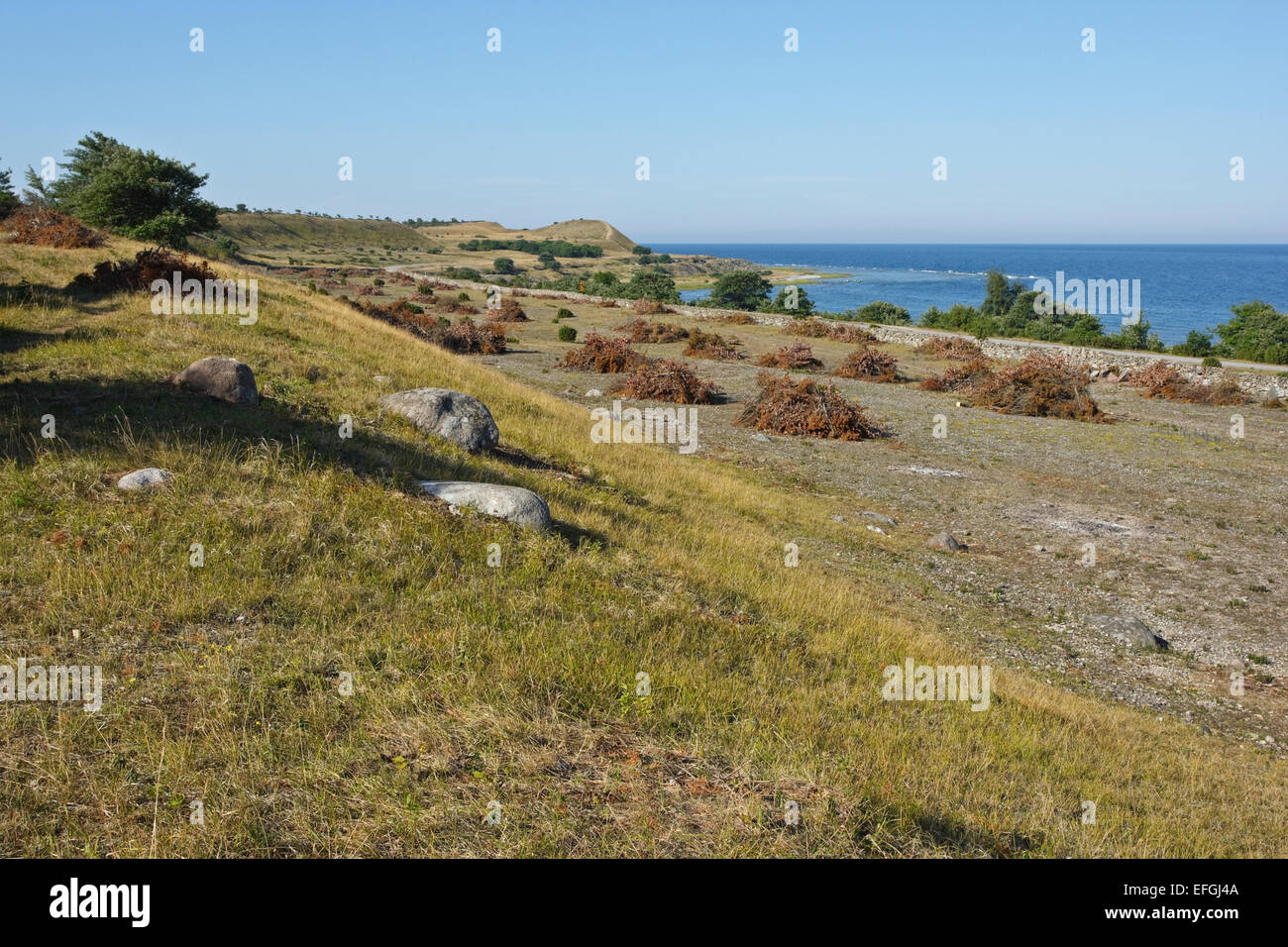 Landscape from the nature reserve Husrygg in southwestern Gotland with ...