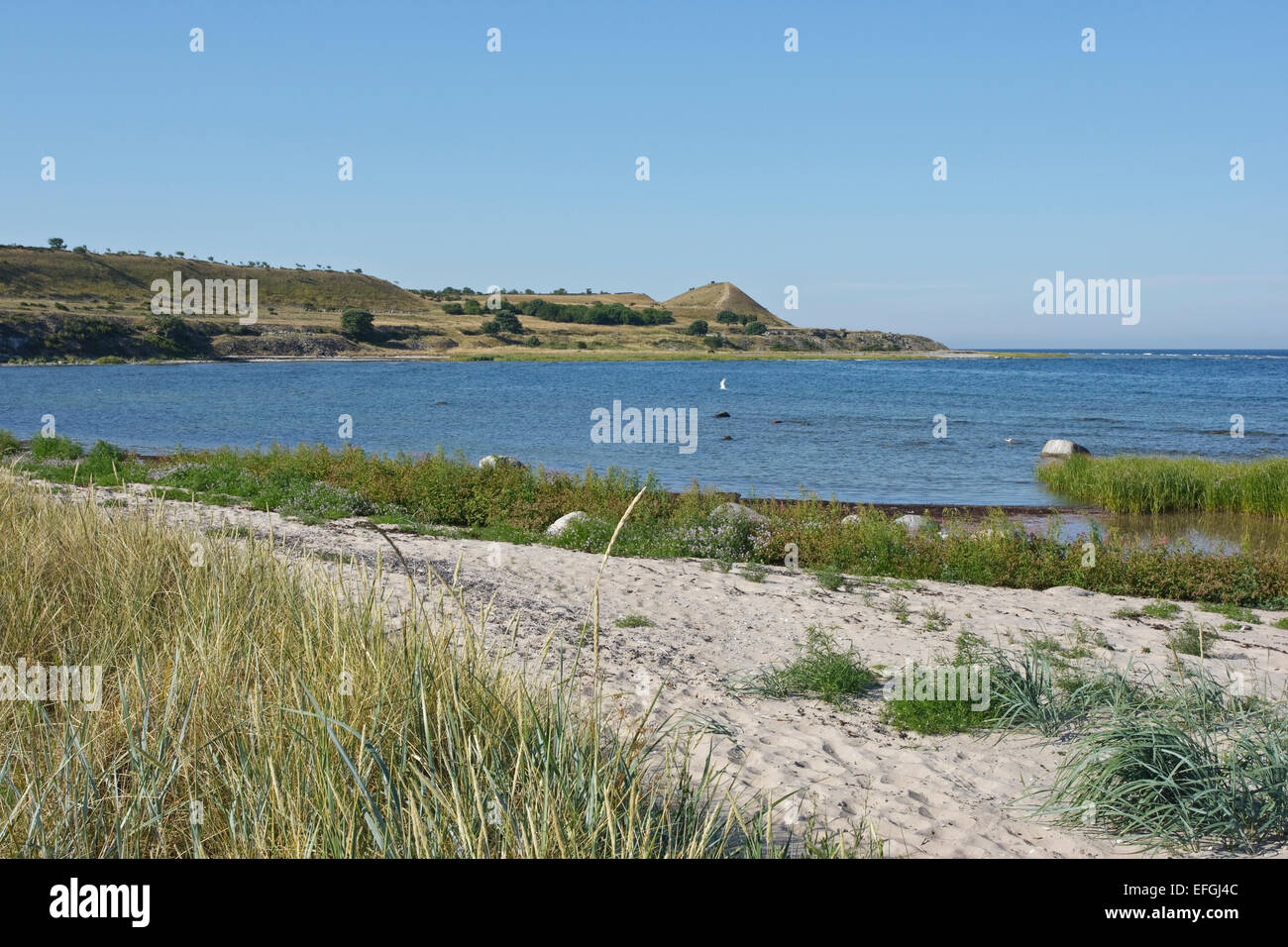 Landscape from the nature reserve Husrygg in southwestern Gotland with ...