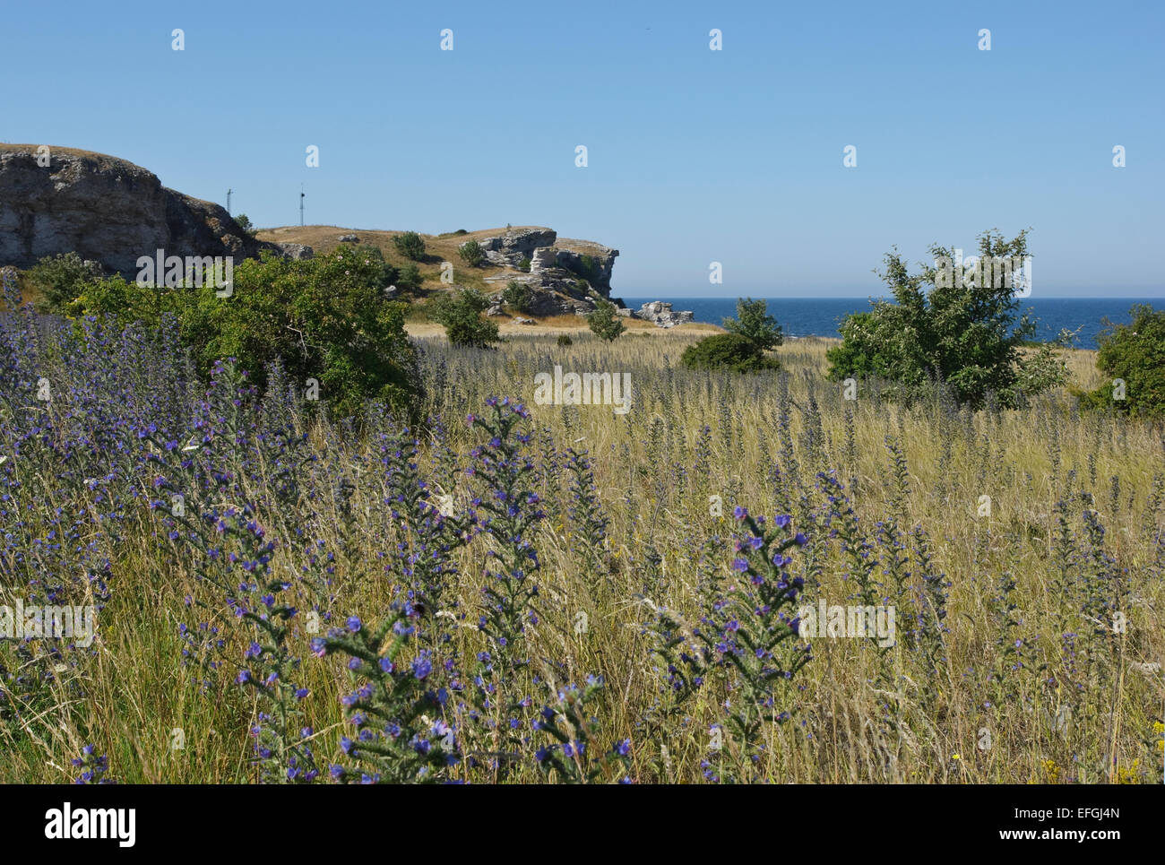 Landscape with limestone cliffs from Hoburgen in southwestern Gotland ...