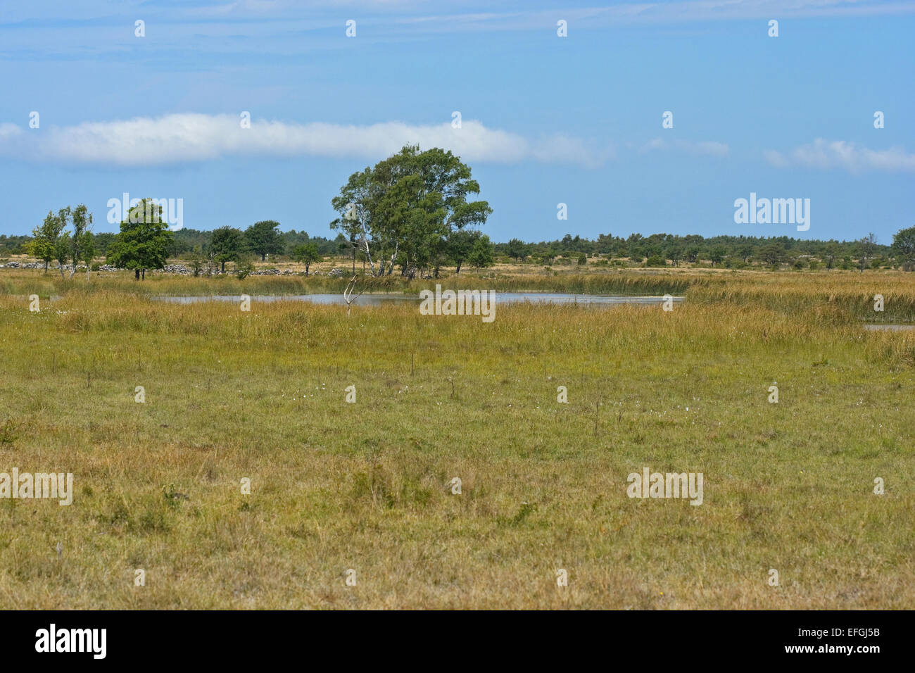 Gotland Landscape High Resolution Stock Photography and Images - Alamy