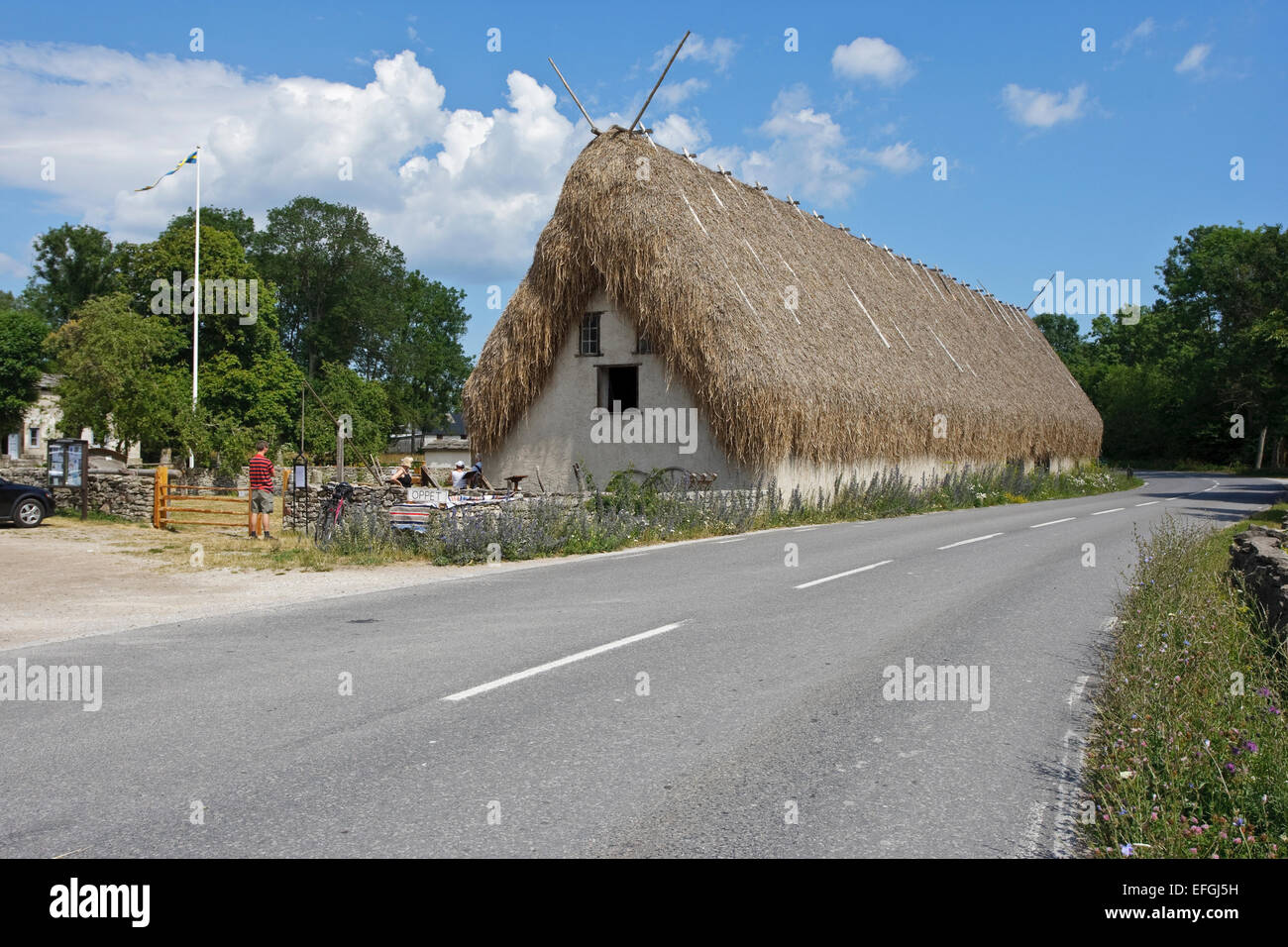 The Museum Bottarve with a roof of Great Fen-sedge (Cladium mariscus ...