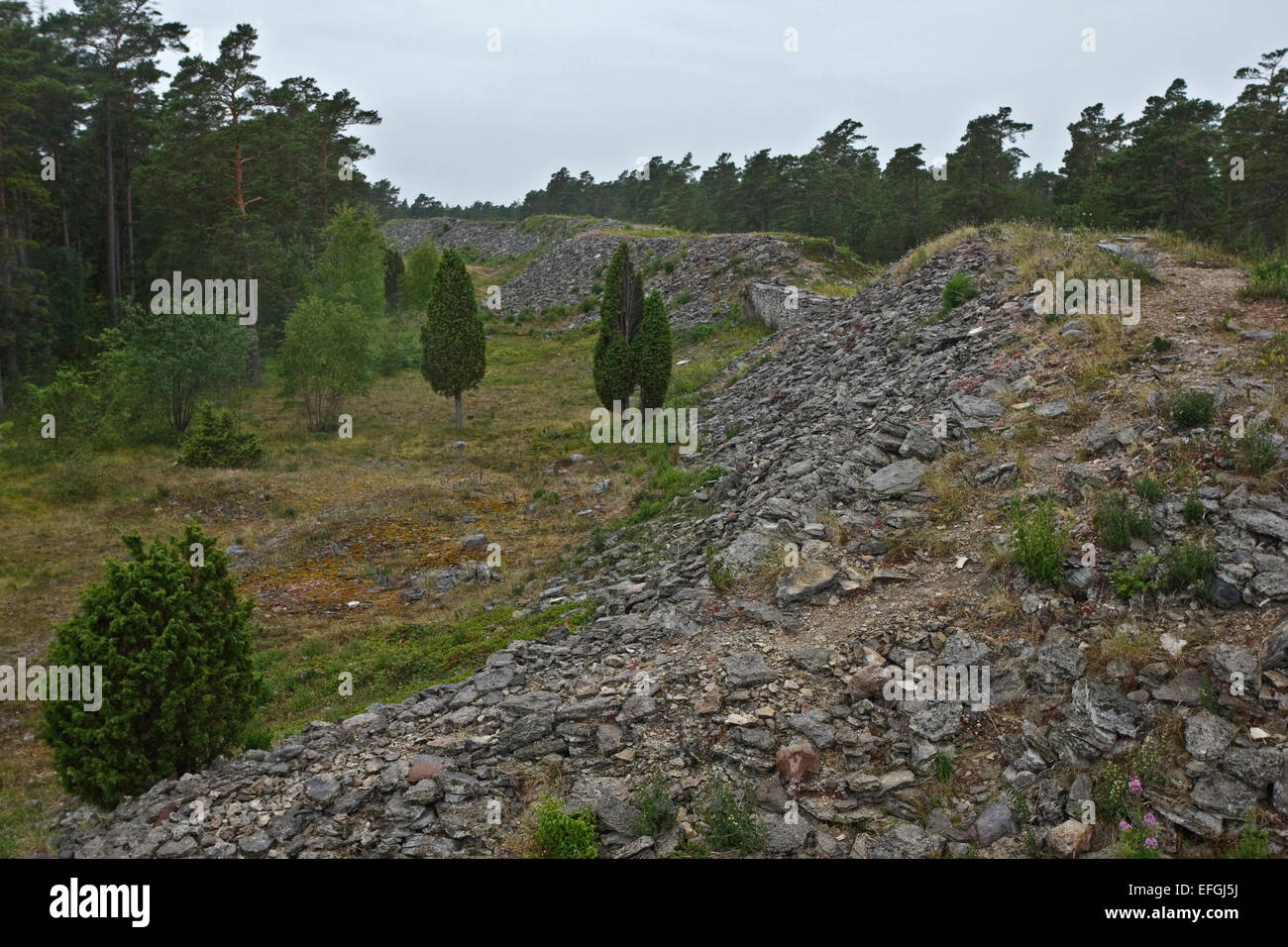 The timber-laced stone rampart around Torsburgen an ancient fortress ...