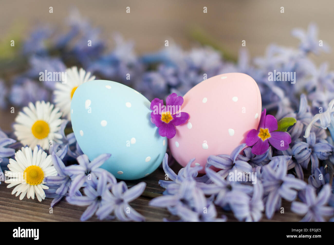 Two Easter eggs among spring flowers Stock Photo - Alamy