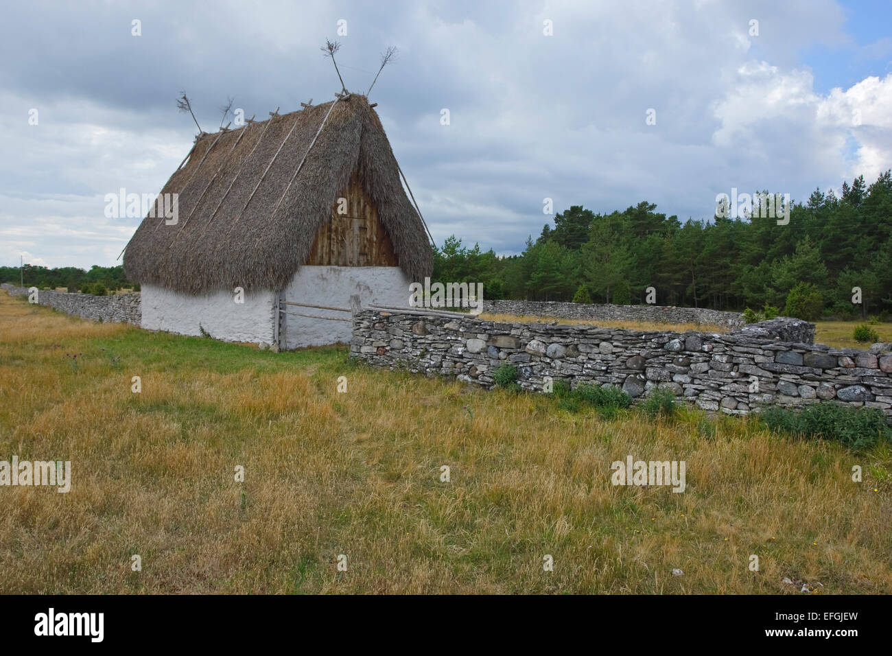 Fen sedge hi-res stock photography and images - Alamy