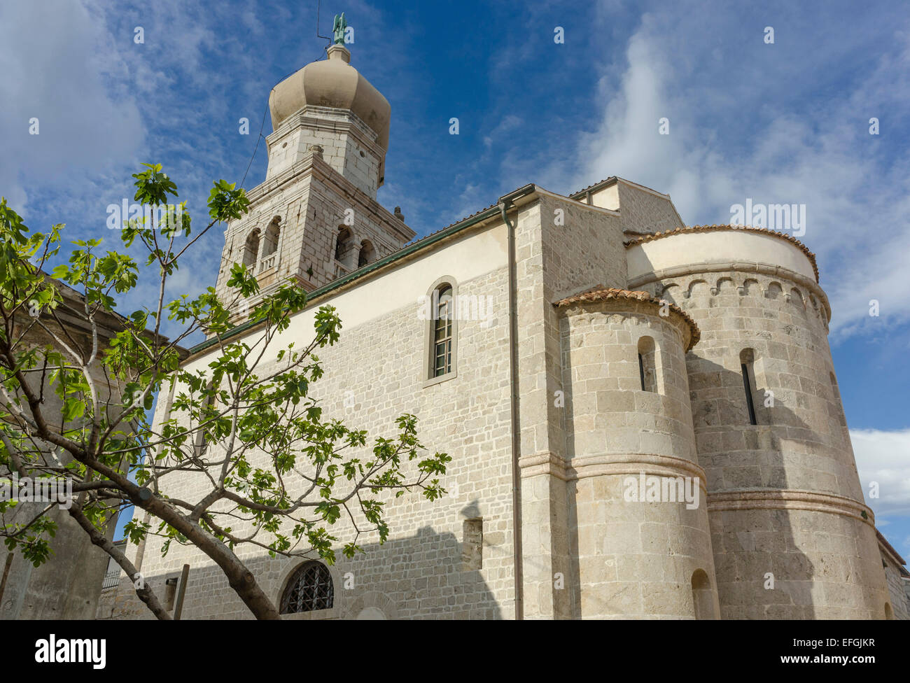 Cathedral or Church of the Assumption, Krk, Primorje-Gorski Kotar ...