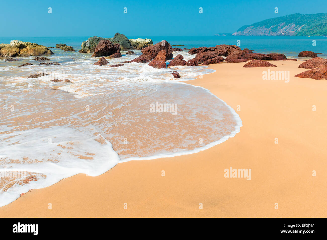 foamy ocean wave on a perfect sandy beach Stock Photo - Alamy