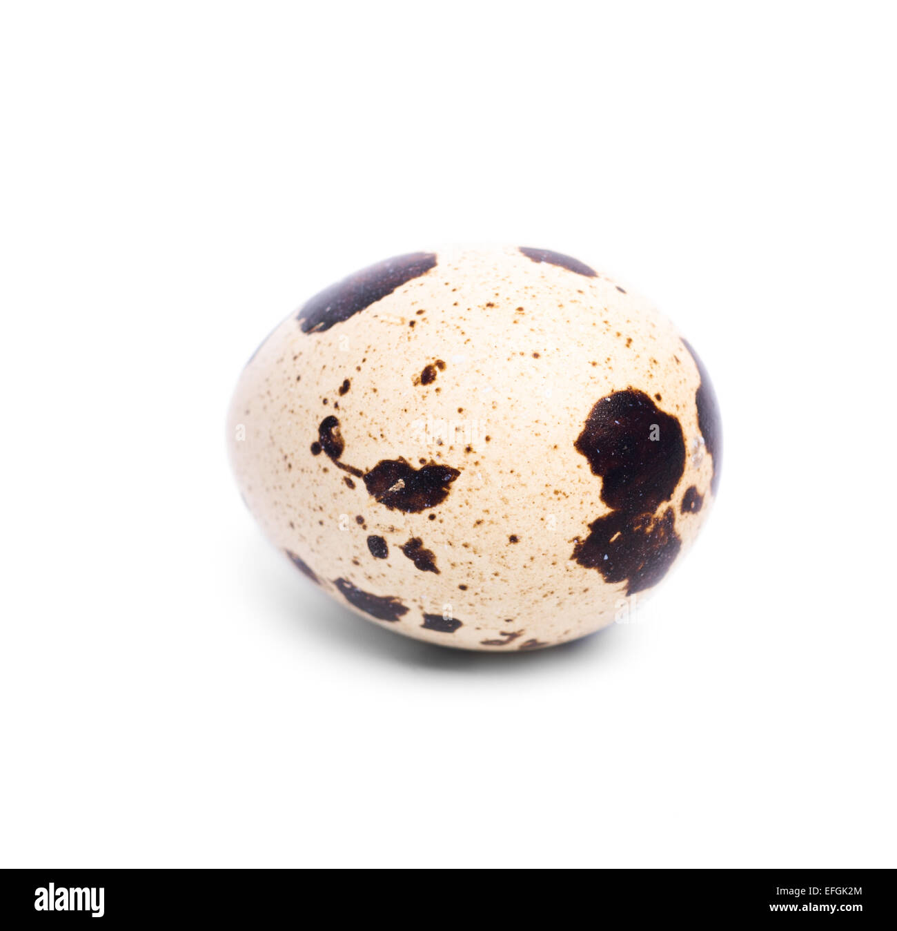 Quail egg shell cracked isolated hi-res stock photography and images ...