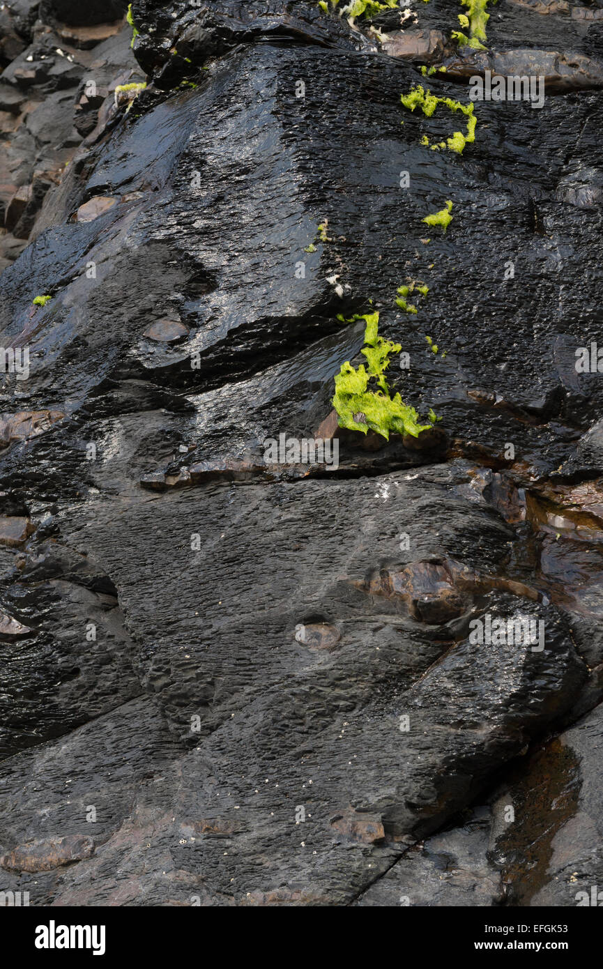 The beach below the Druidstone Hotel, West Wales Stock Photo - Alamy