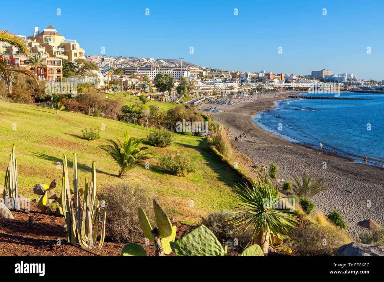 Costa Adeje. Tenerife, Canary Islands, Spain Stock Photo - Alamy
