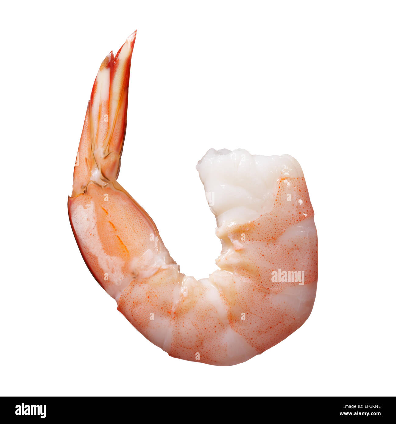 side view of shrimp isolated on white background Stock Photo - Alamy