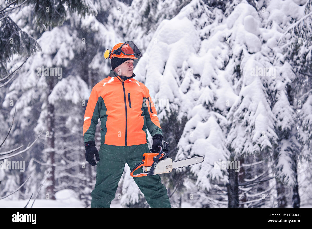 Woodcutter in forest hi-res stock photography and images - Alamy