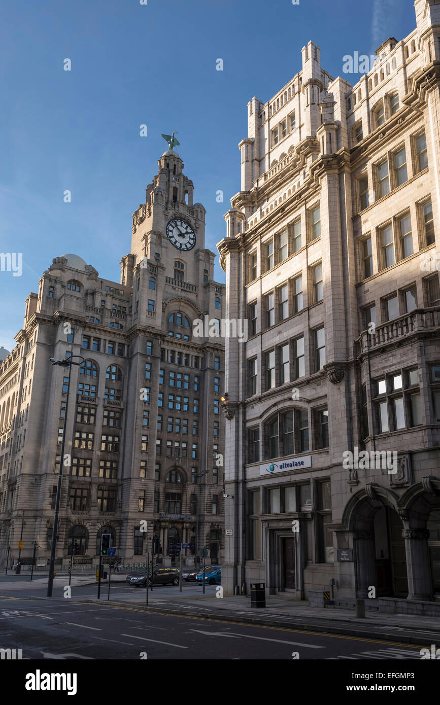 The famous Tower building ( foreground) and the Royal Liver building in ...
