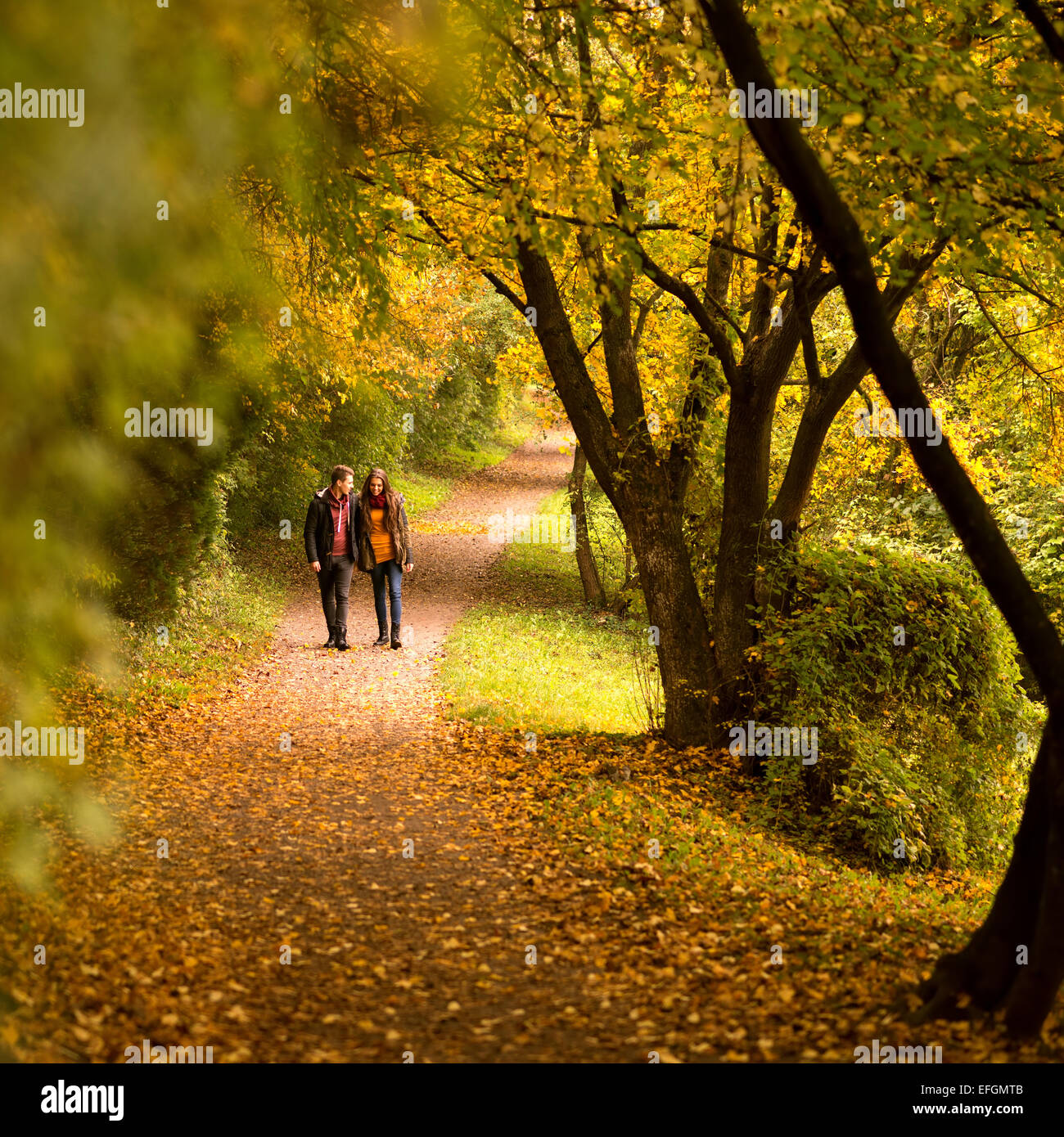 Lovers walking hand in hand in autumn park Stock Photo - Alamy