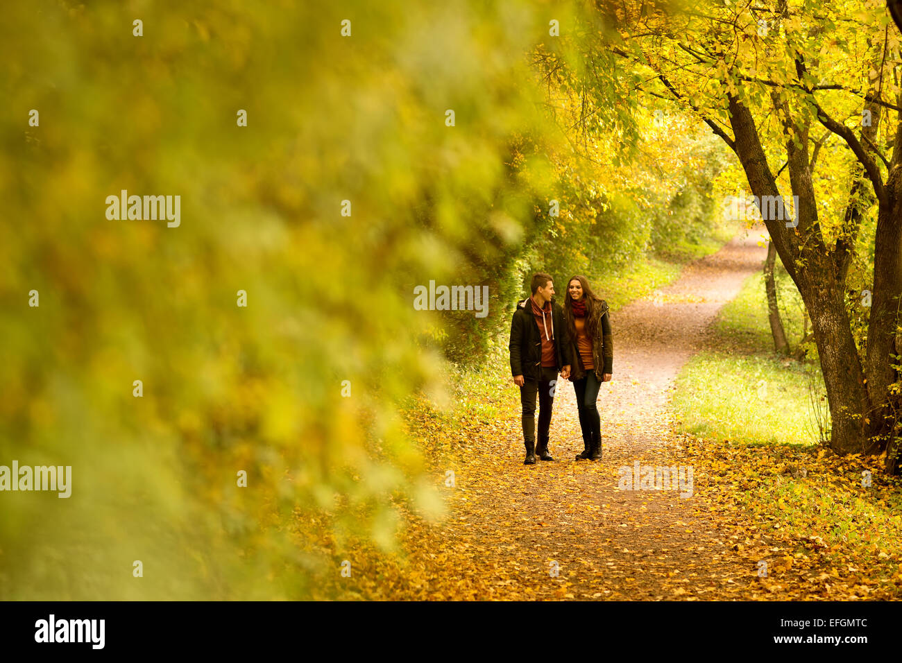 Lovers walking hand in hand in autumn park Stock Photo - Alamy
