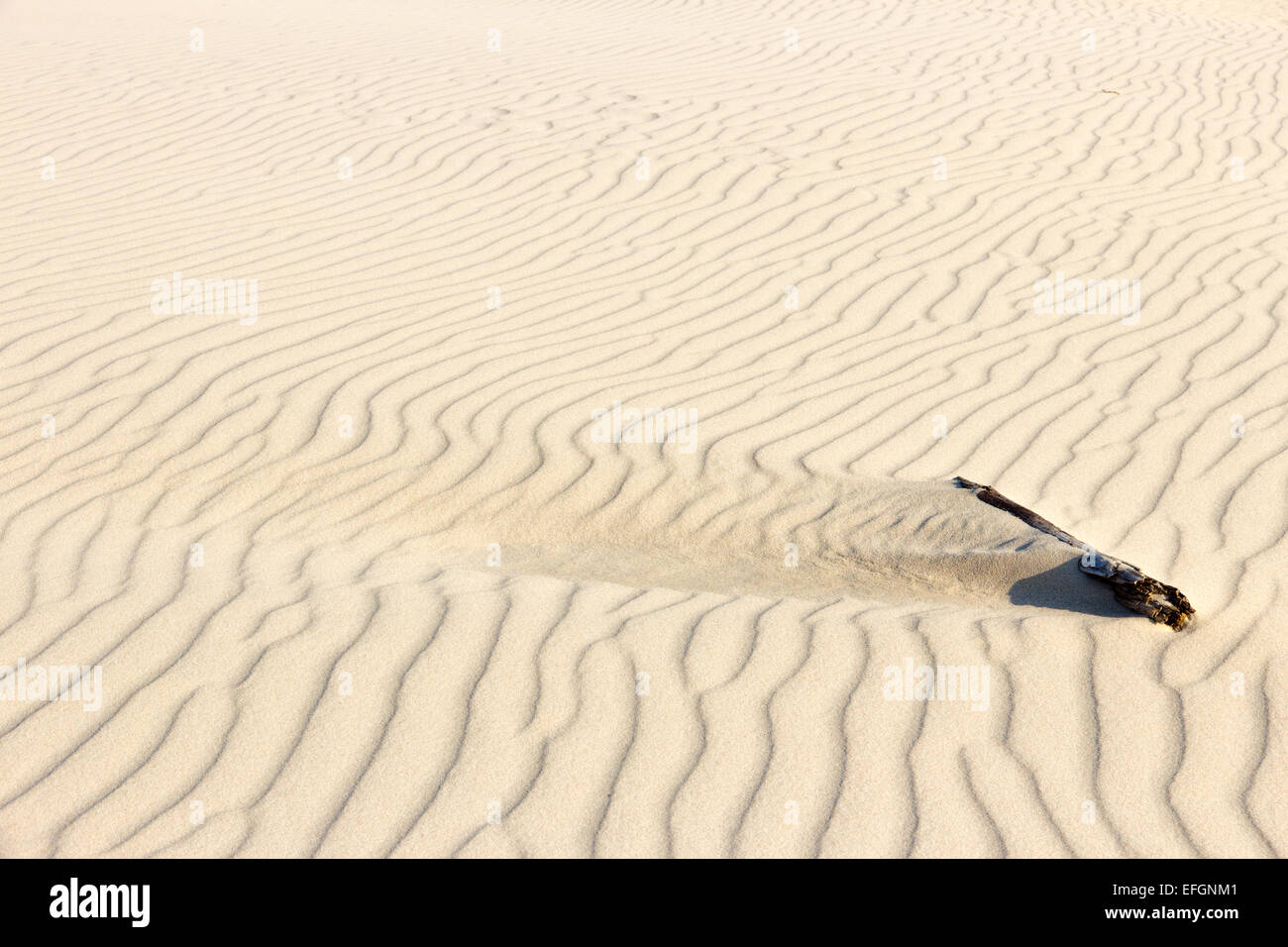 Moving desert hi-res stock photography and images - Alamy