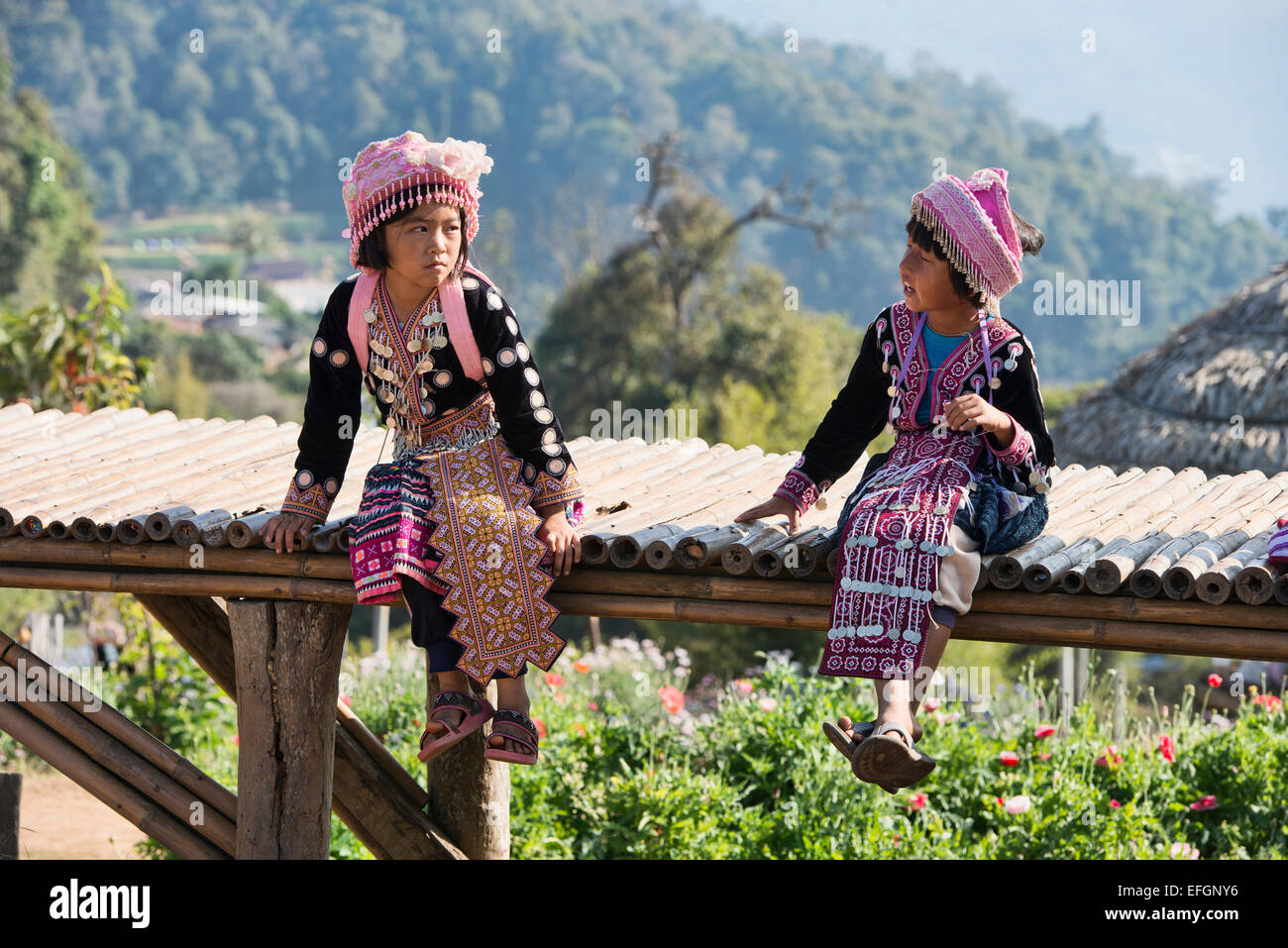 Hmong girls in Mon Jam, Chiang Mai, Thailand Stock Photo - Alamy