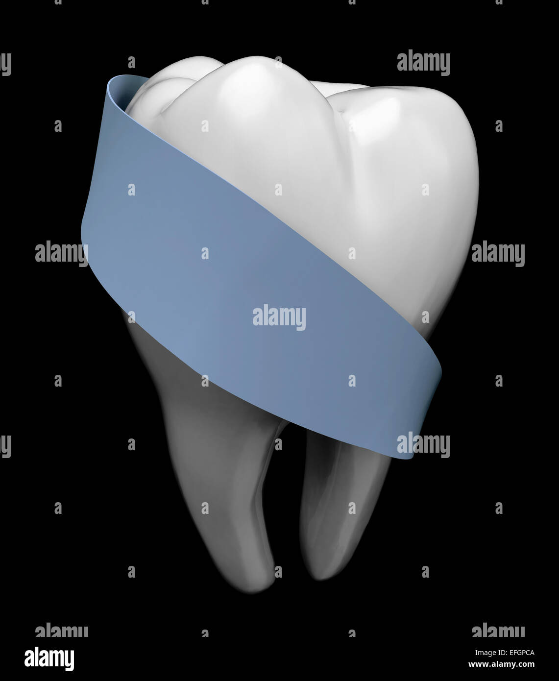 3d molar hi-res stock photography and images - Alamy