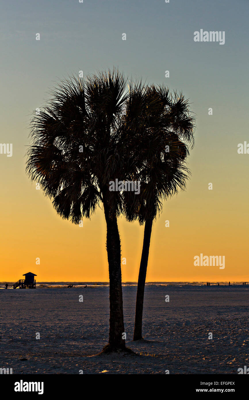 Sunset over Siesta Key beach in Sarasota, Florida Stock Photo - Alamy