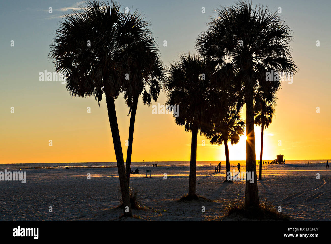 Sunset over Siesta Key beach in Sarasota, Florida Stock Photo - Alamy