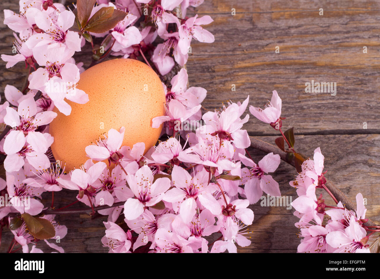 easter eggs in grass with spring flower Stock Photo - Alamy