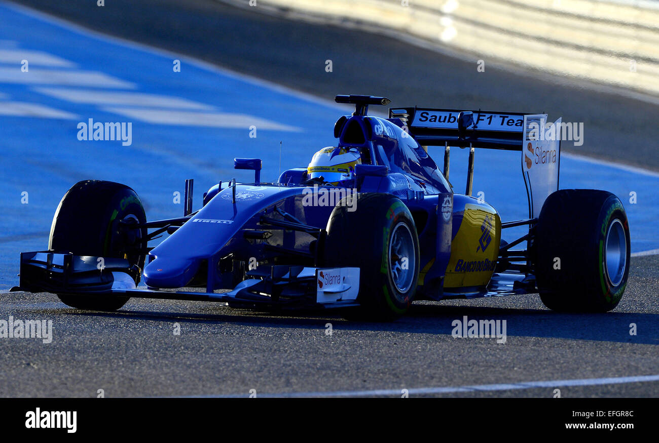 Swedish formula one driver marcus hi-res stock photography and images ...