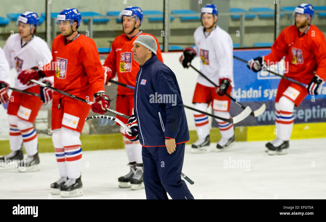 Vladimir Ruzicka, coach of Czech National Ice Hockey Team, is seen ...
