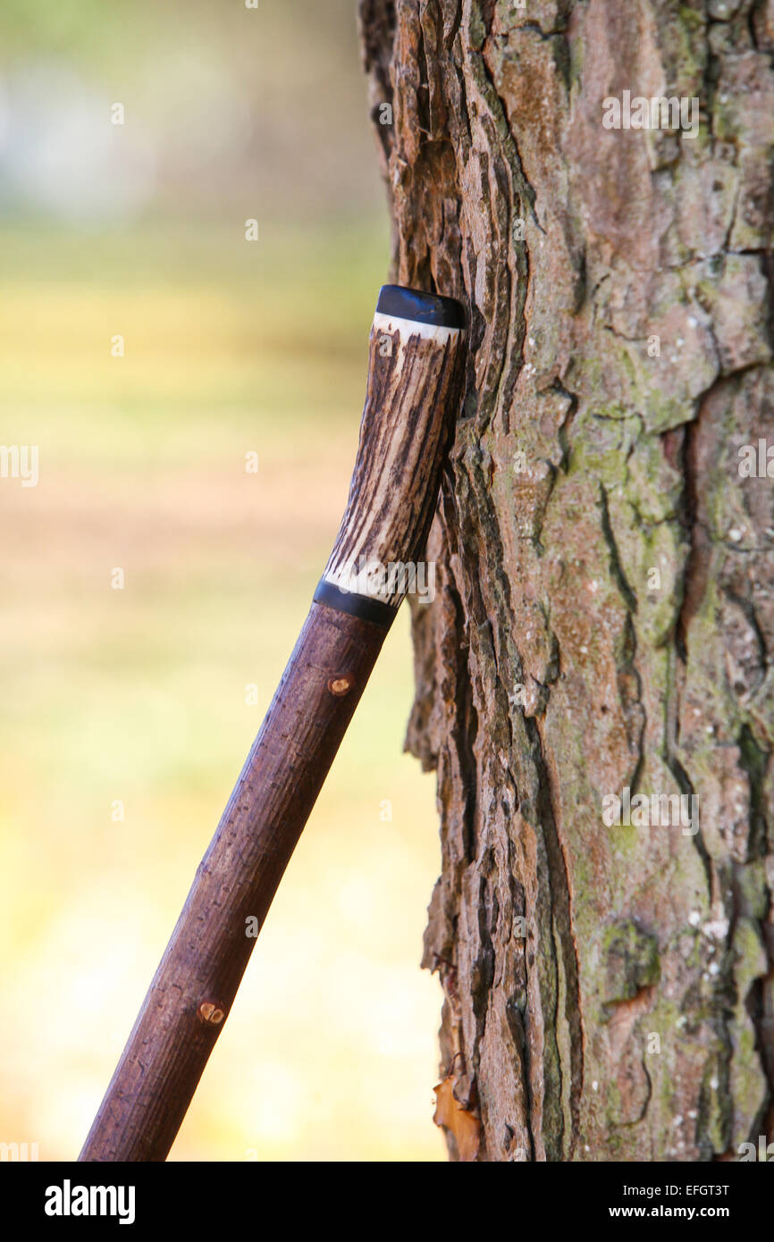 Carved Walking Stick High Resolution Stock Photography and Images - Alamy