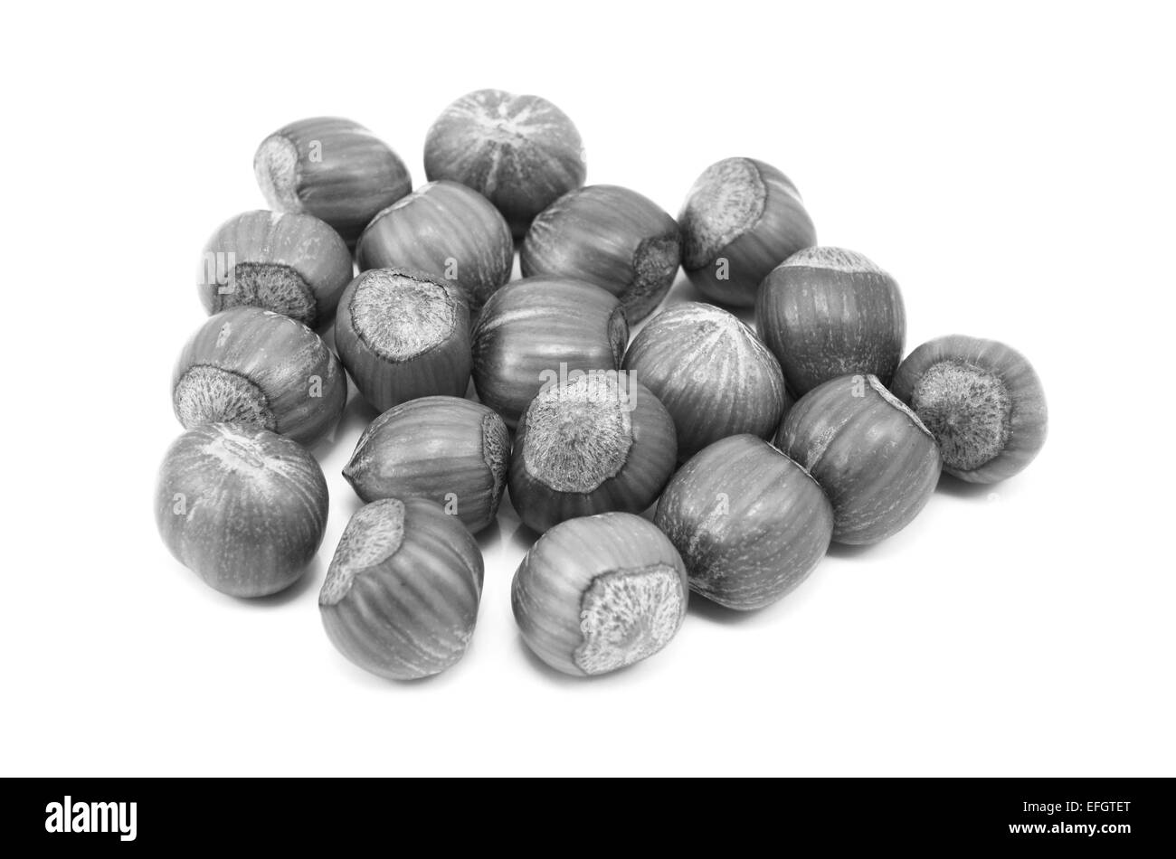Hazelnut in shell hi-res stock photography and images - Alamy