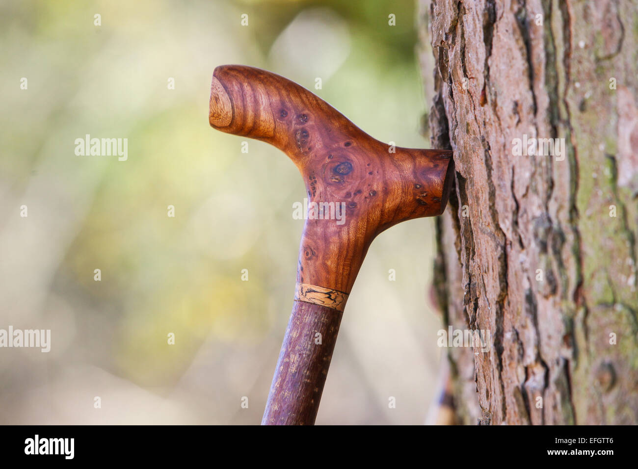 Carved Walking Stick High Resolution Stock Photography and Images - Alamy