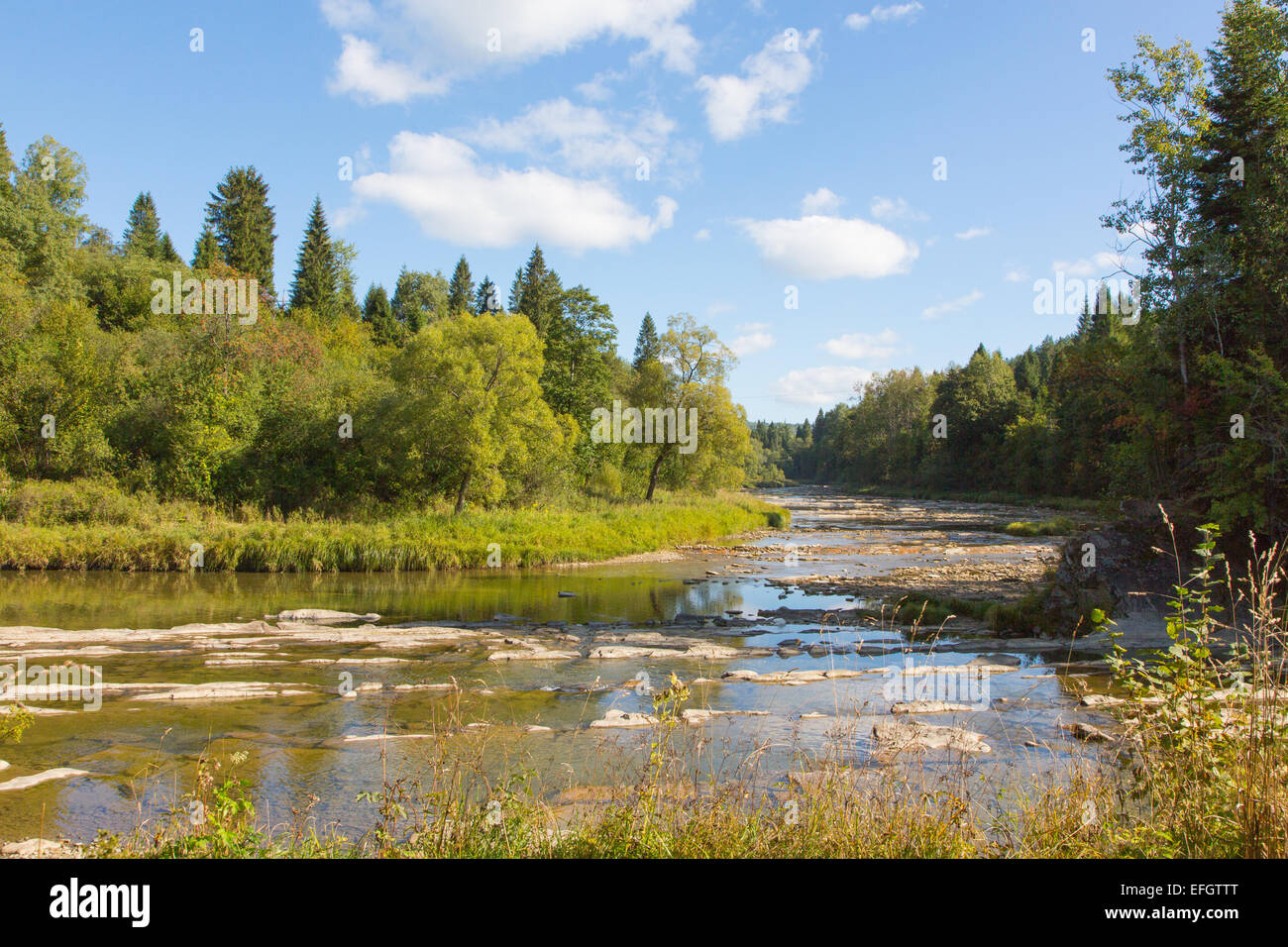 San river and Wolosaty Stream junction in summer landscape Stock Photo ...