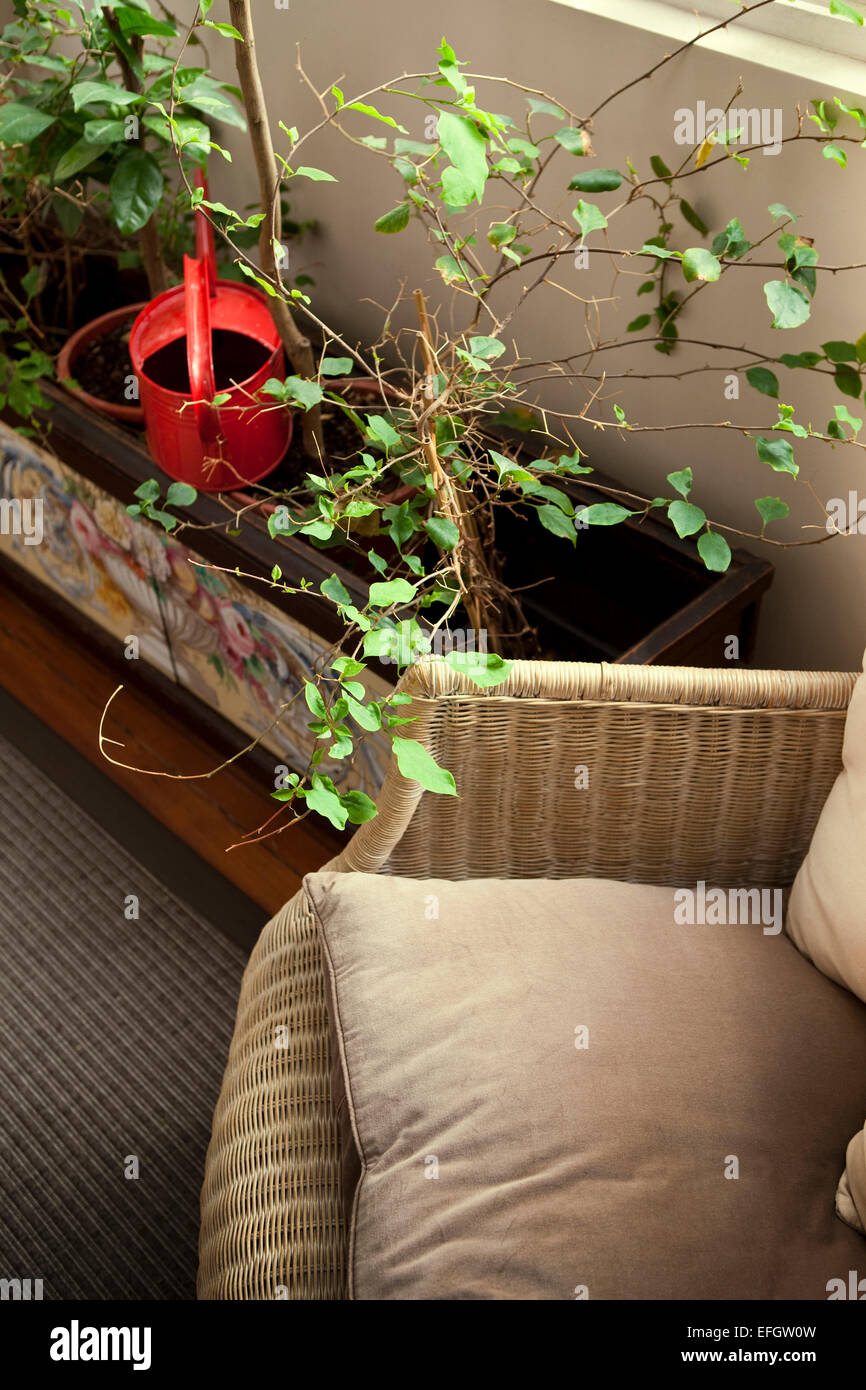 Inside a vintage French veranda Stock Photo - Alamy