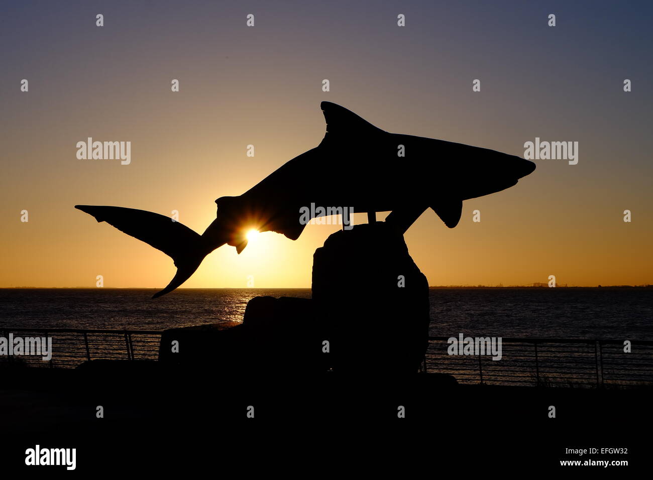 The deep, Hull, shark sculpture at sun rise Stock Photo - Alamy